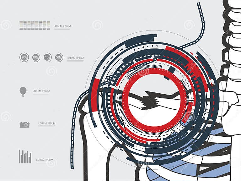 Vector Medical Illustration of a Clavicle Stock Vector - Illustration ...