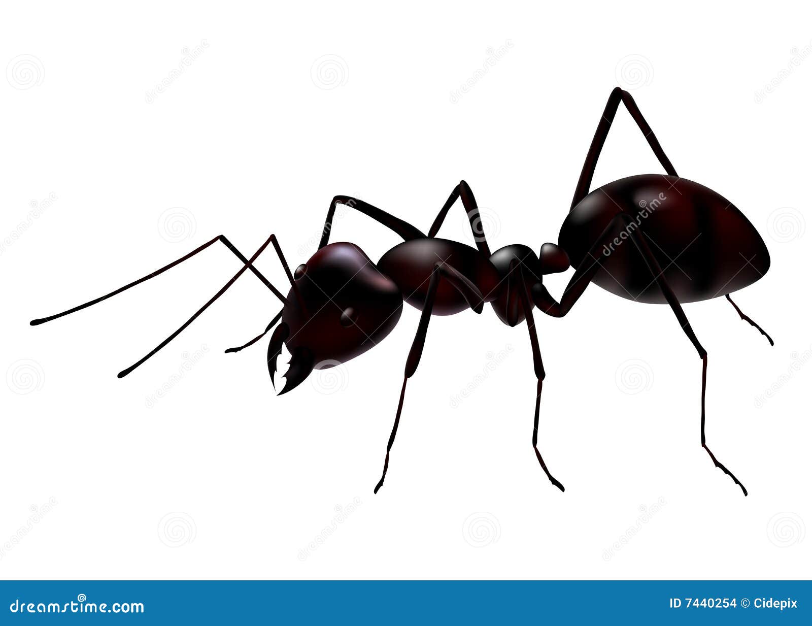 Vector mier vector illustratie. Illustration of ontwerp - 7440254