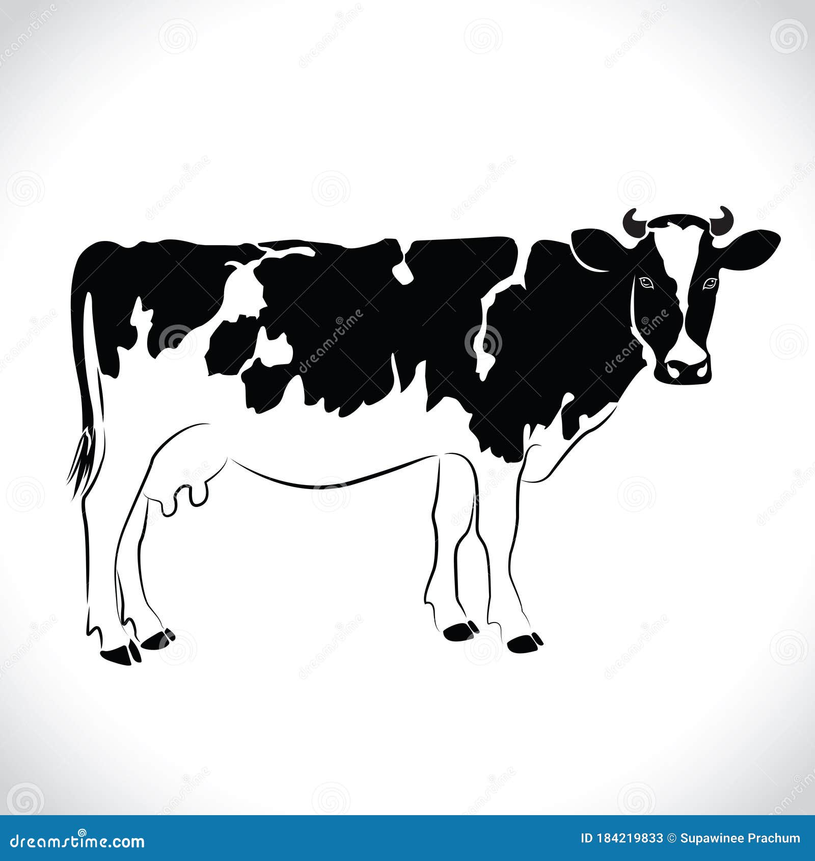 Vector of an Milk Cow Design Isolated on the White Background. Milk Cow ...
