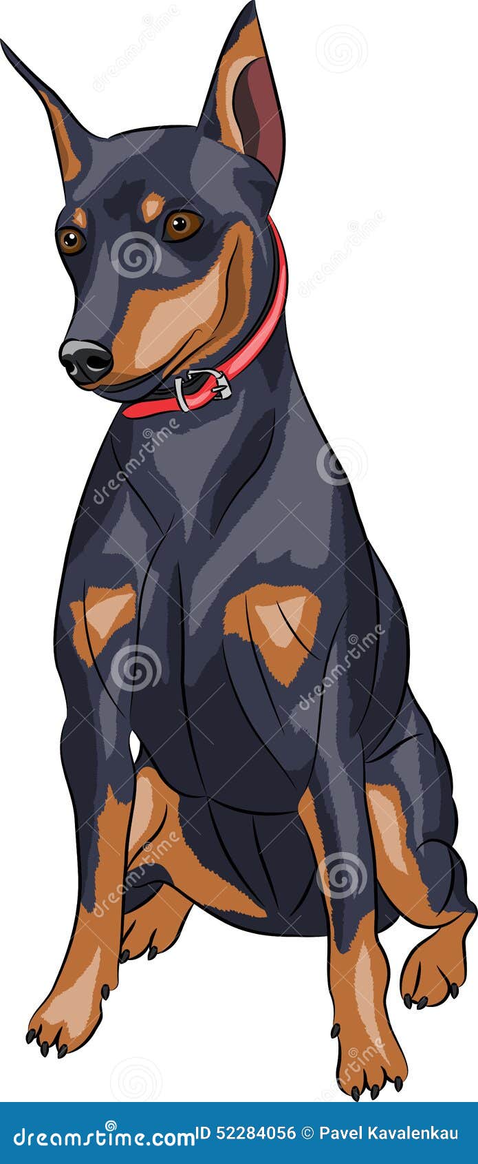 Mini Pinscher Dog Silhouettes Set Vector Illustration | CartoonDealer ...