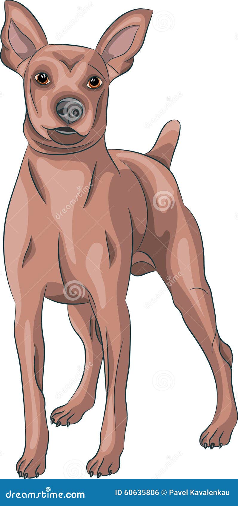 Mini Pinscher Dog Silhouettes Set Vector Illustration | CartoonDealer ...