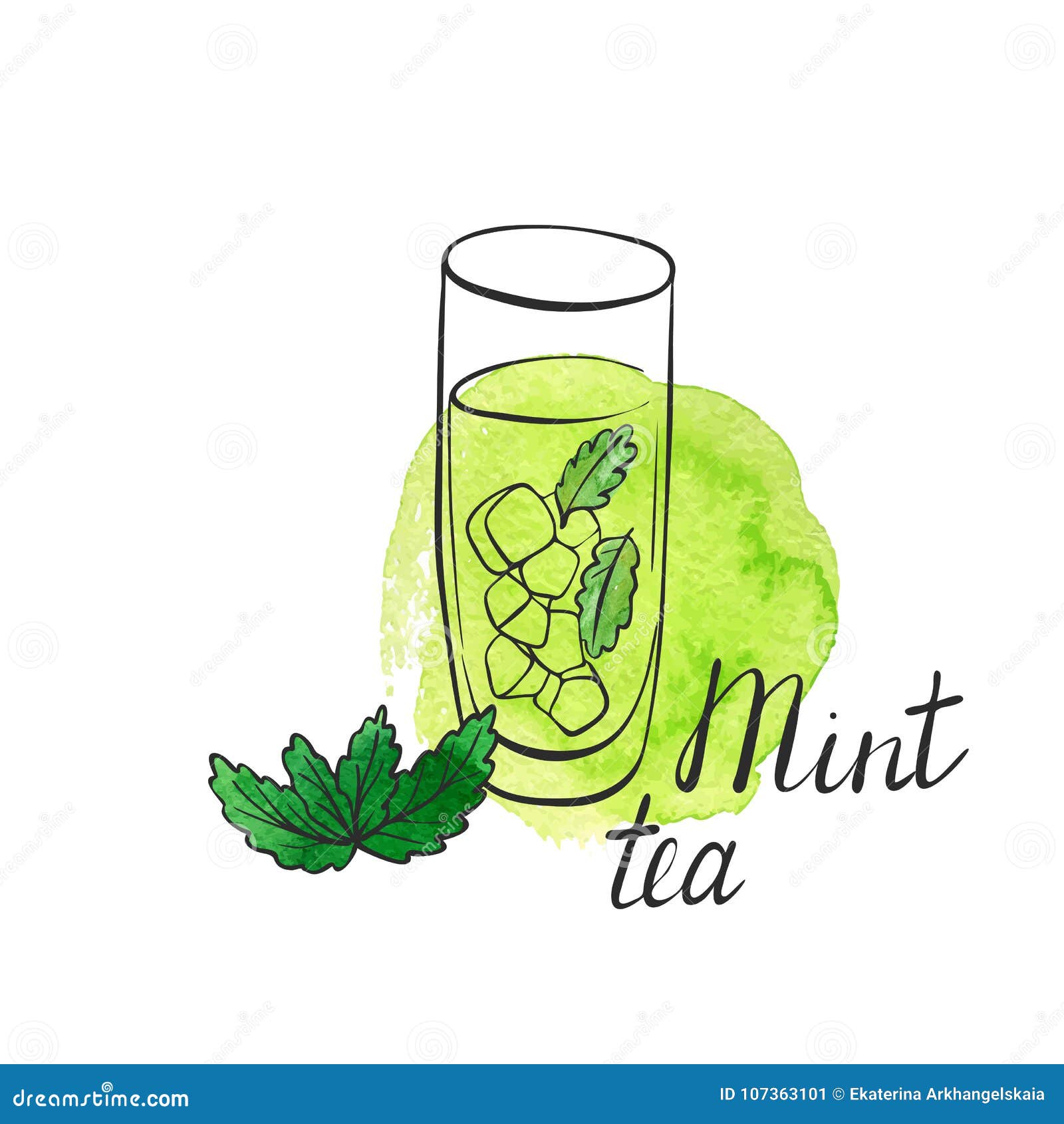 Vector mint tea stock vector. Illustration of sketch - 107363101