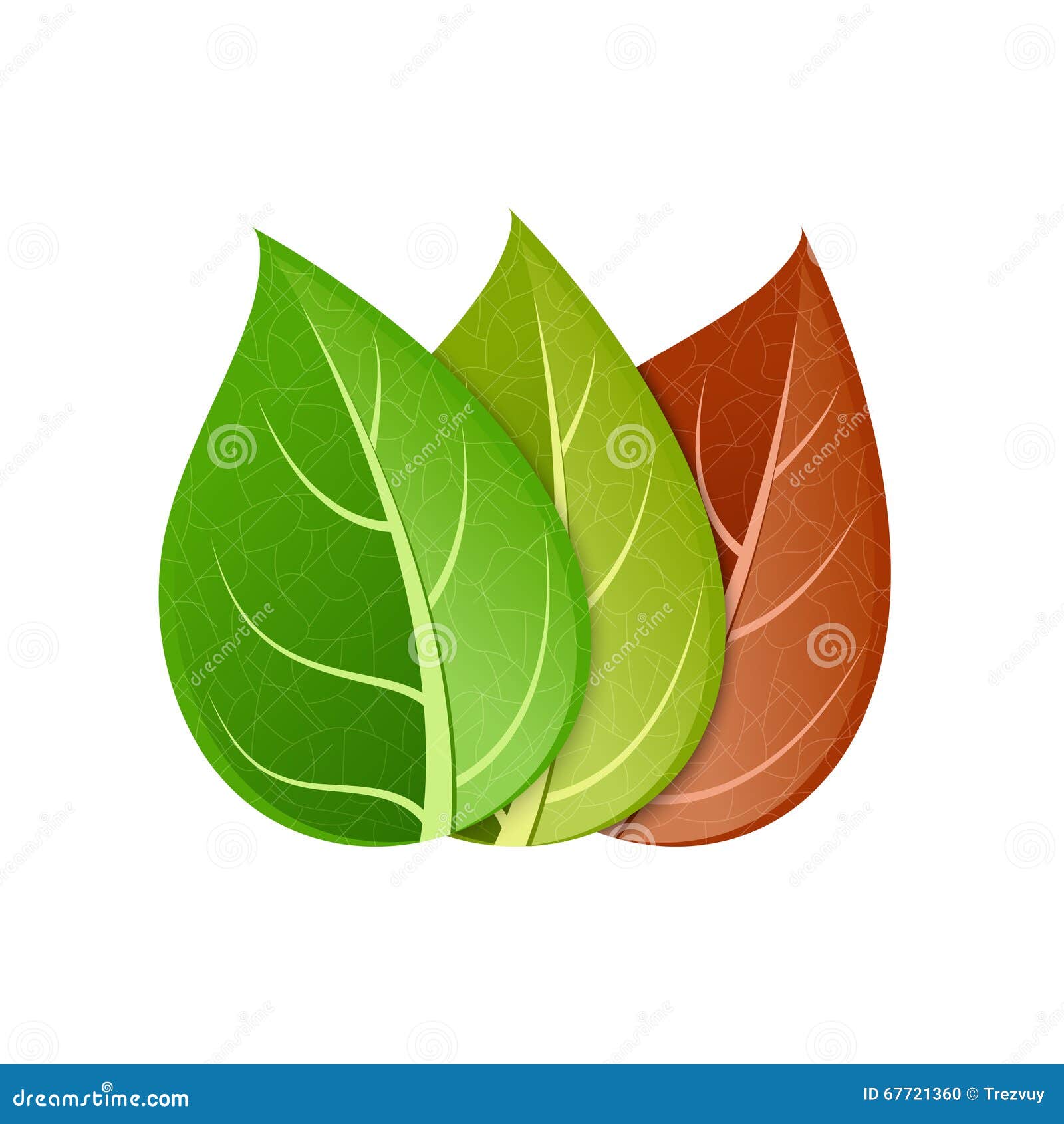 Vector Modern Colorful Leaf Set on White Stock Vector - Illustration of ...