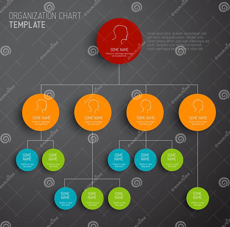 Vector Modern and Simple Organization Chart Template Stock Vector ...
