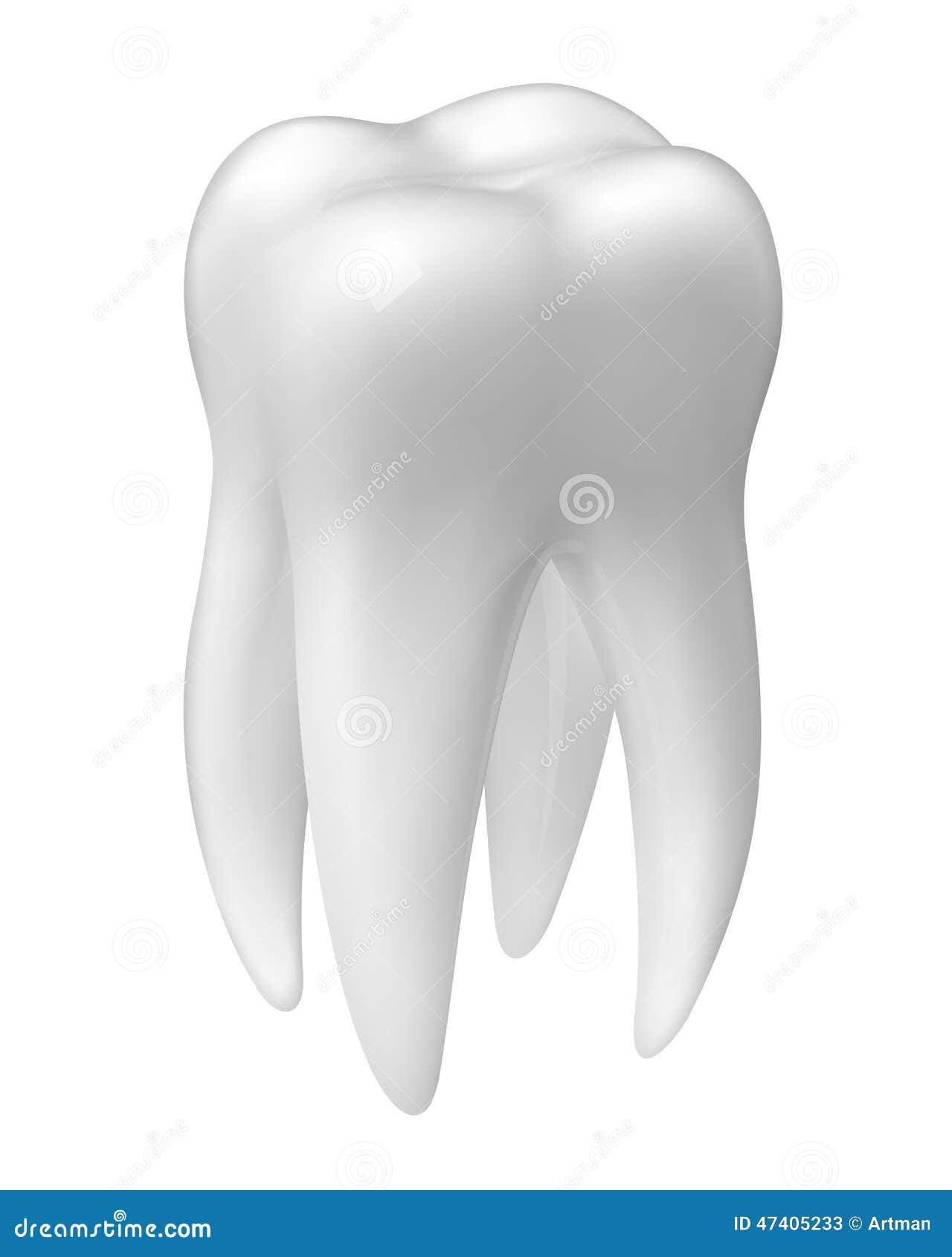 Vector molar tooth icon stock vector. Illustration of white - 47405233