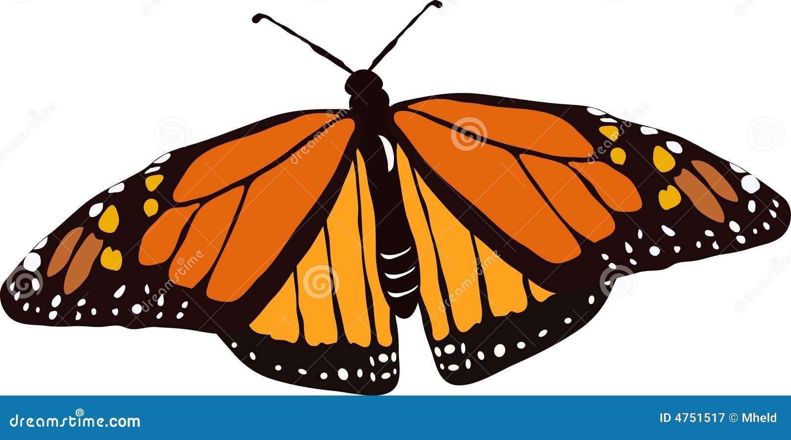 Vector Monarch butterfly stock vector. Illustration of orange - 4751517 Vector Monarch butterfly stock vector. Illustration of orange - 4751517