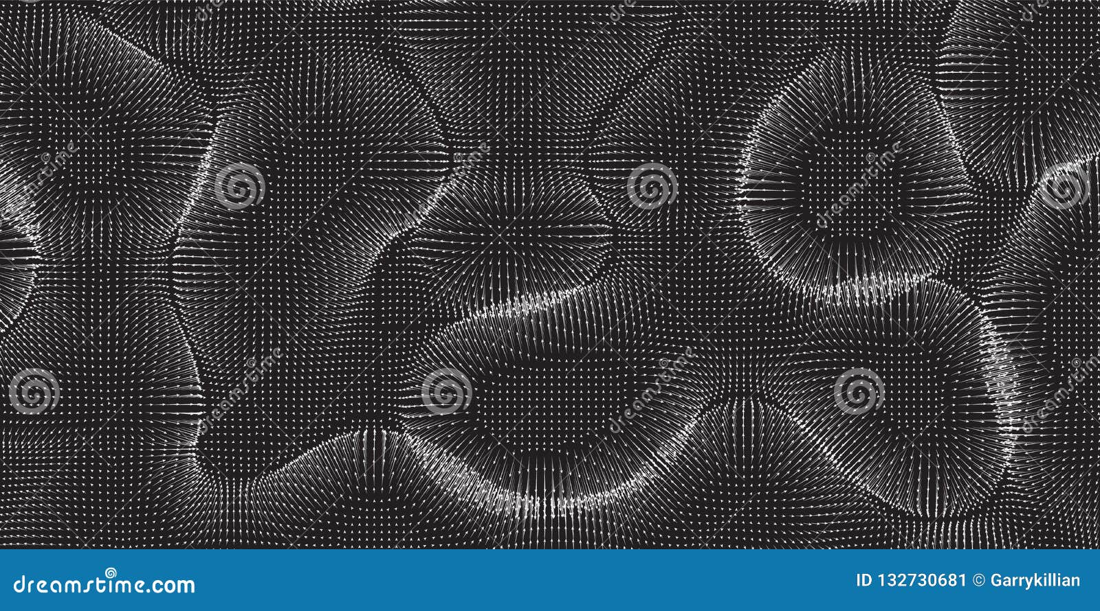 Vector Monochrome Field Visualization of Forces. Magnetic or ...