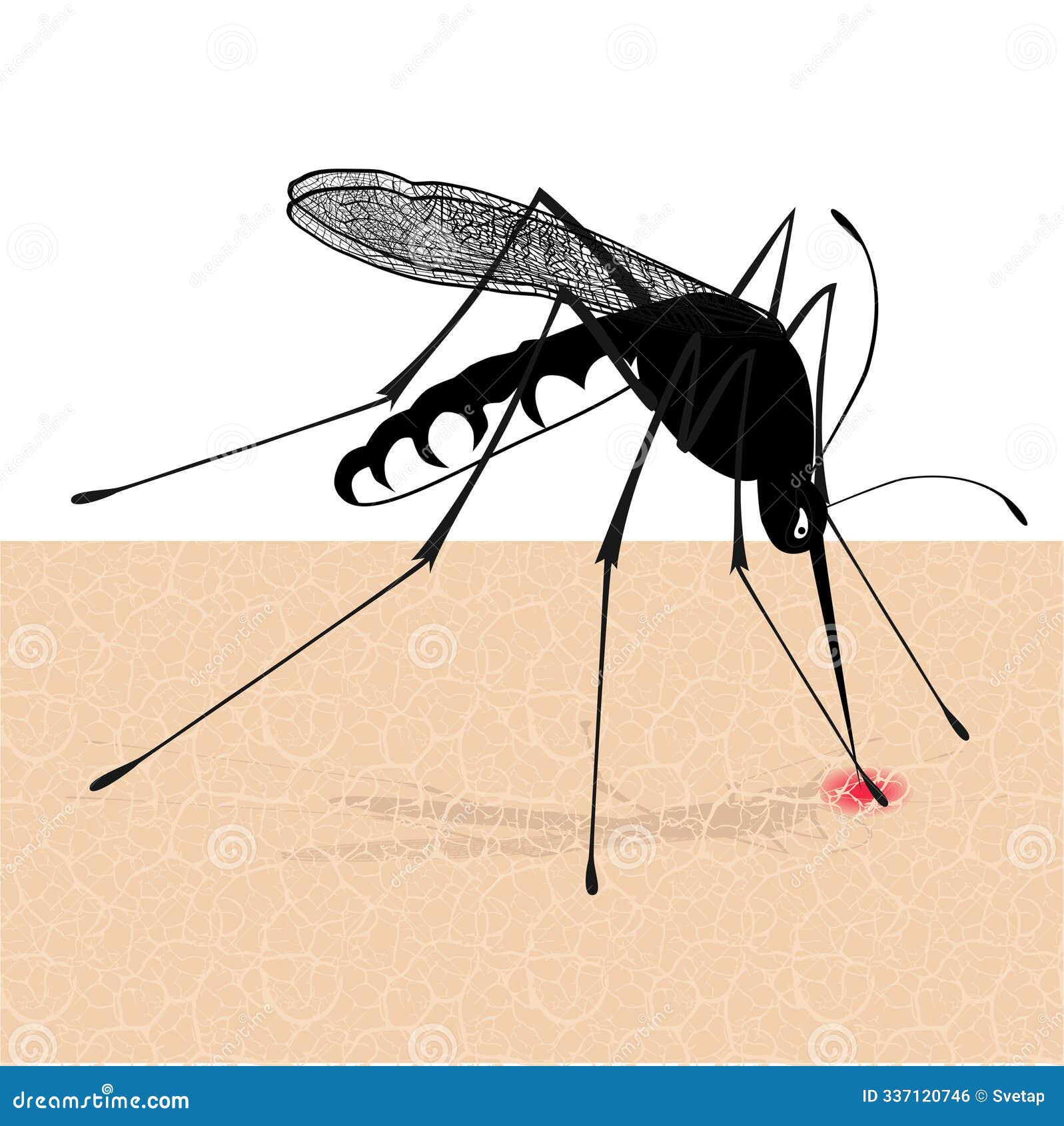 Mosquito. A Blood-sucking Insect With A Sharp Proboscis. Color Vector ...