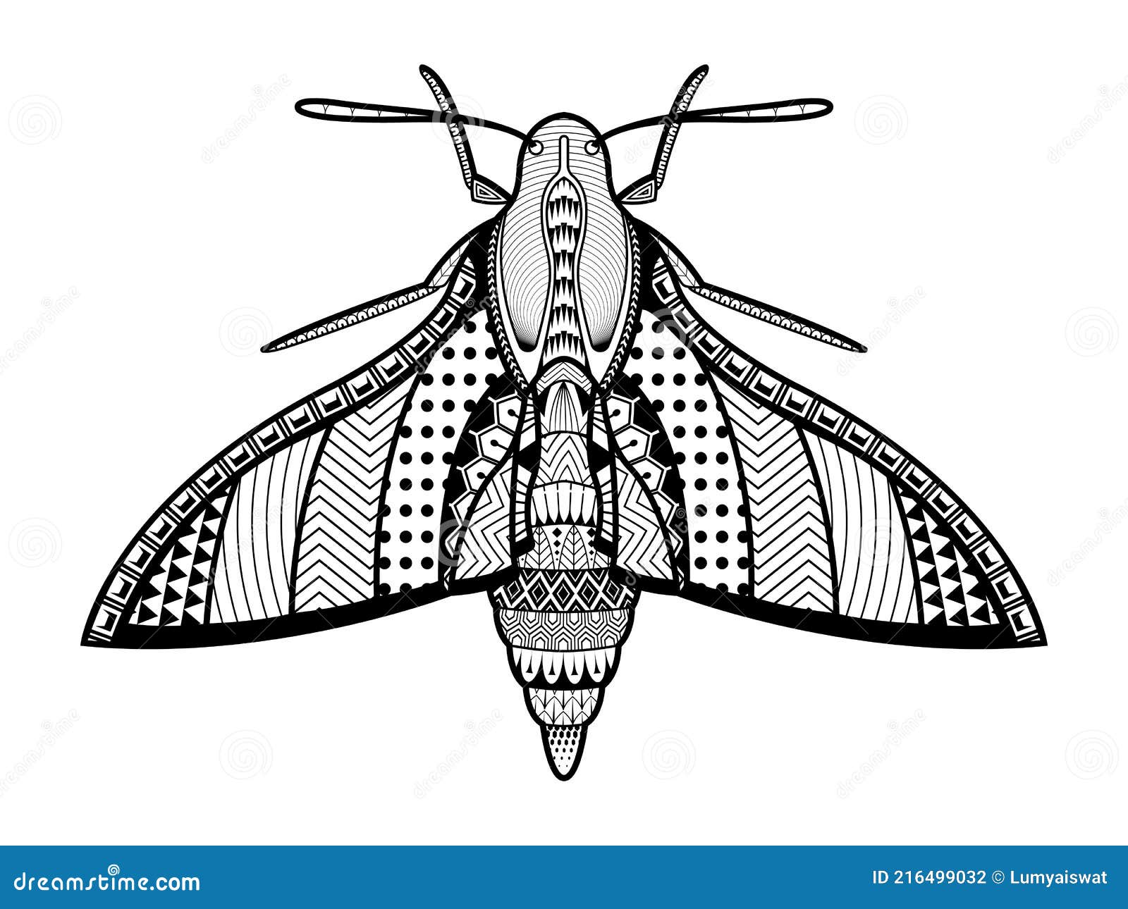 Vector moth of hand drawn stock vector. Illustration of design - 216499032