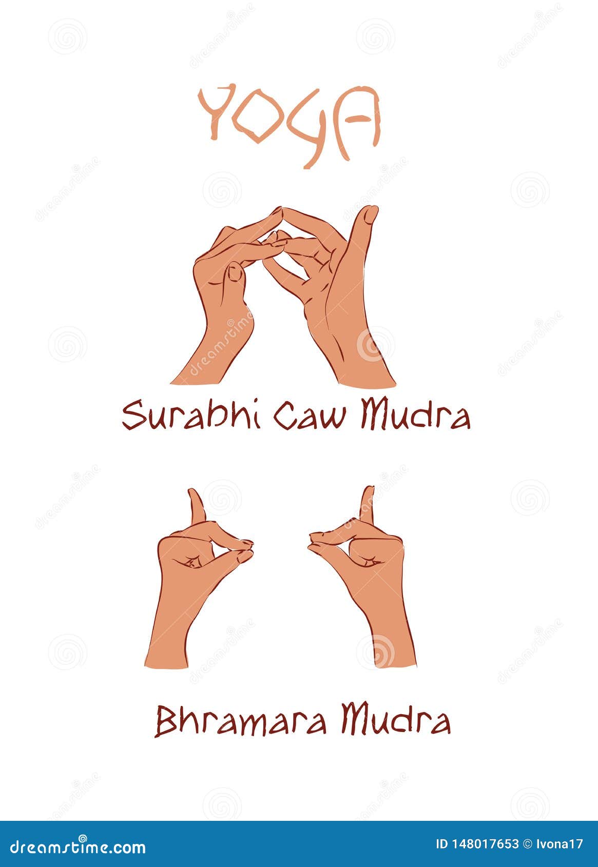 Mudras Hands Vector. Vector Hand Drawn Set Of Mudras. Isolated On White ...