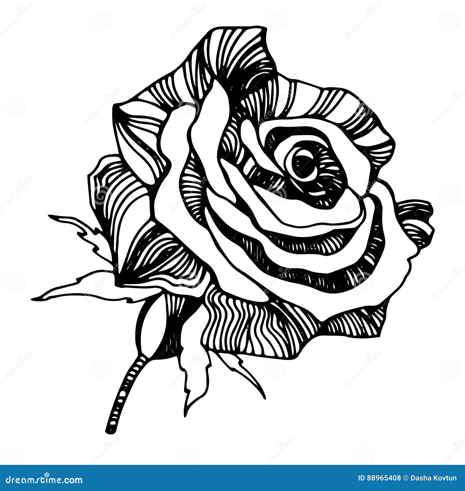 Vector Multicolor Rose Flowers. Stylized Roses. Stock Vector ...