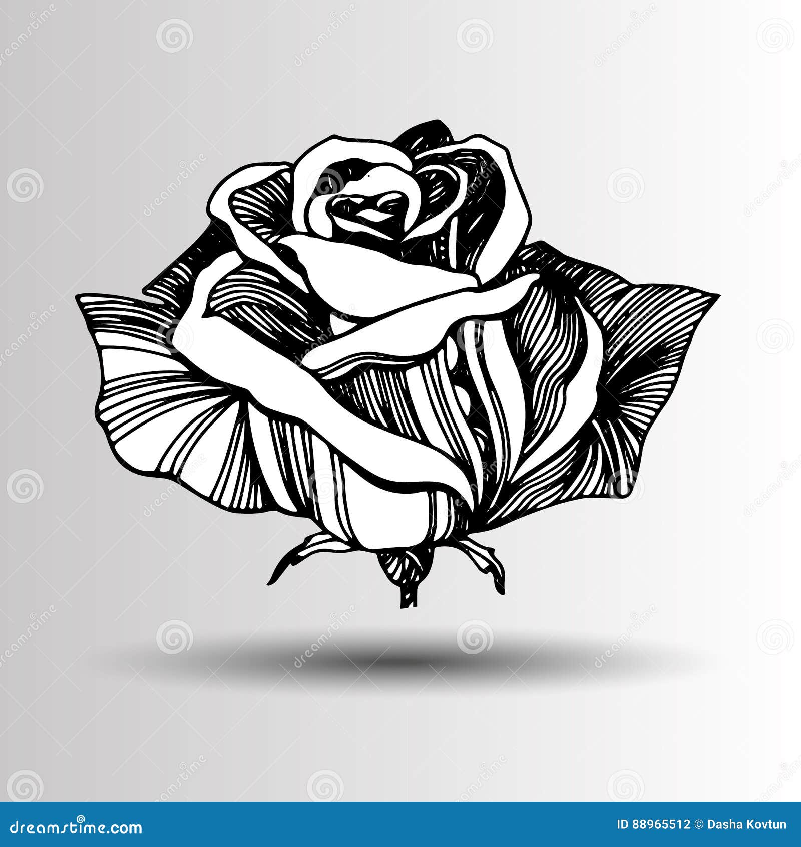 Vector Multicolor Rose Flowers. Stylized Roses. Stock Vector ...