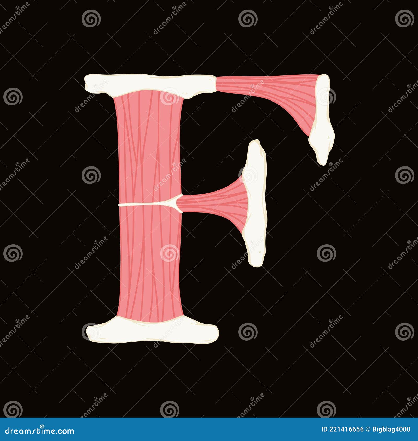 Vector Muscle Letter.Art Font. Stock Vector - Illustration of flesh ...