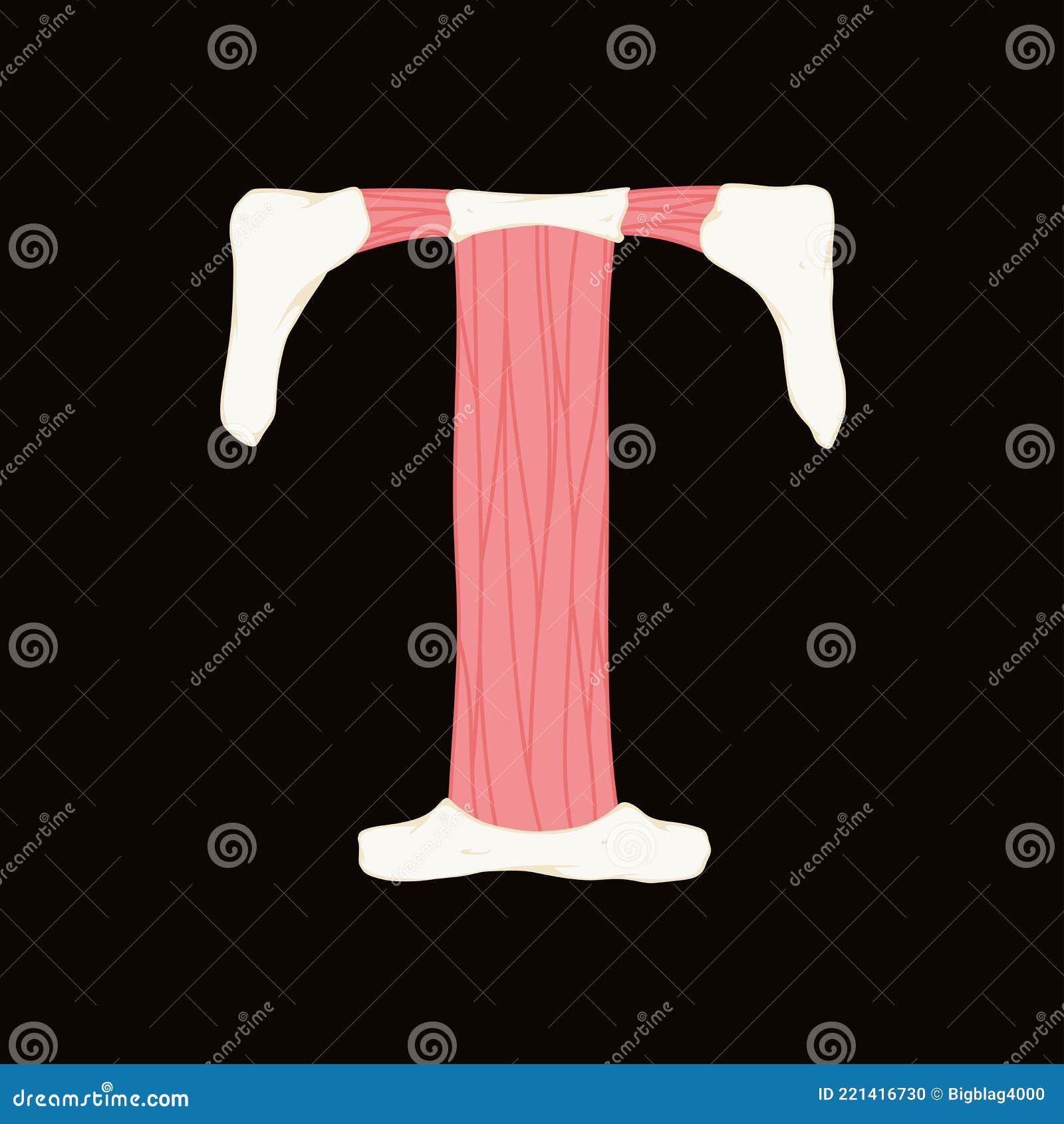 Vector Muscle Letter.Art Font. Stock Vector - Illustration of letter ...