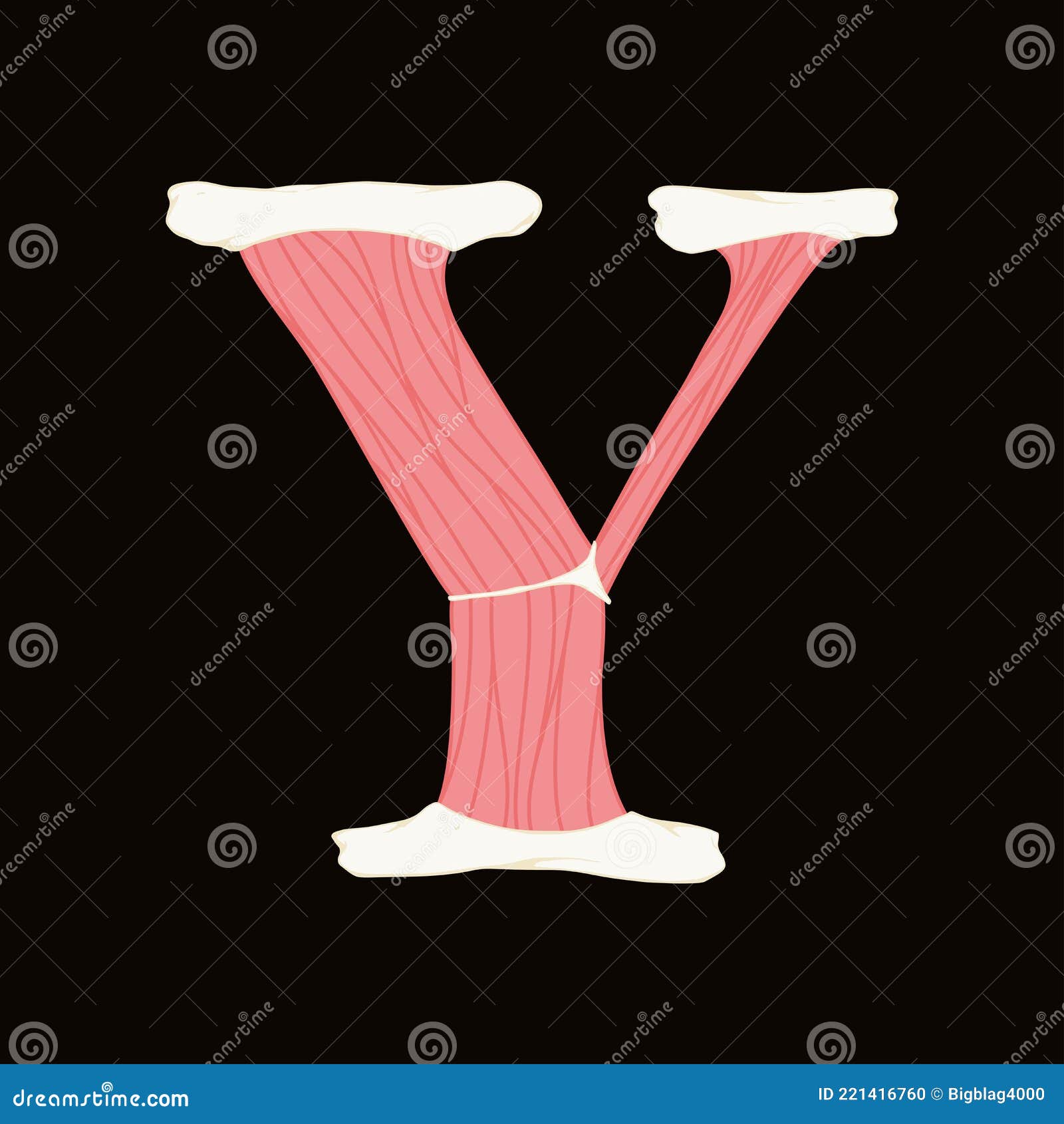 Vector Muscle Letter.Art Font. | CartoonDealer.com #221416760