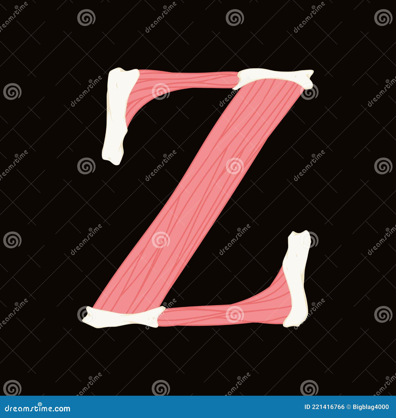Vector Muscle Letter.Art Font. Stock Vector - Illustration of anatomy ...