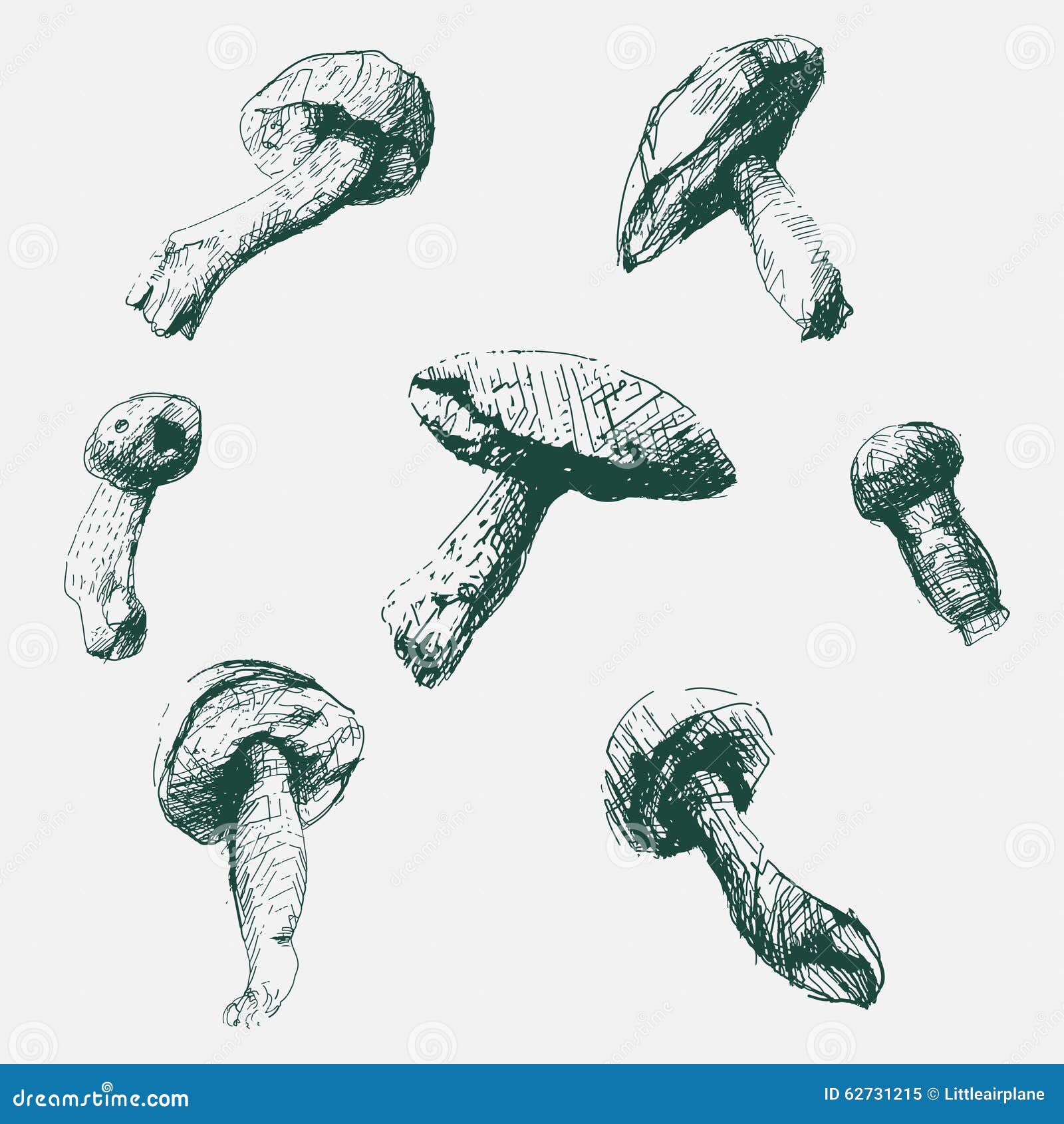 Vector mushrooms set stock vector. Illustration of mushrooms - 62731215