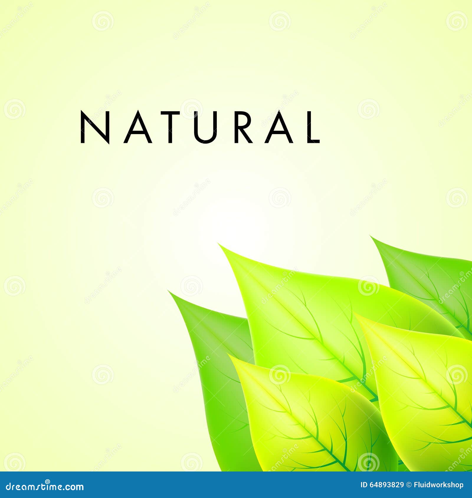 Vector Natural Design stock vector. Illustration of leaf - 64893829