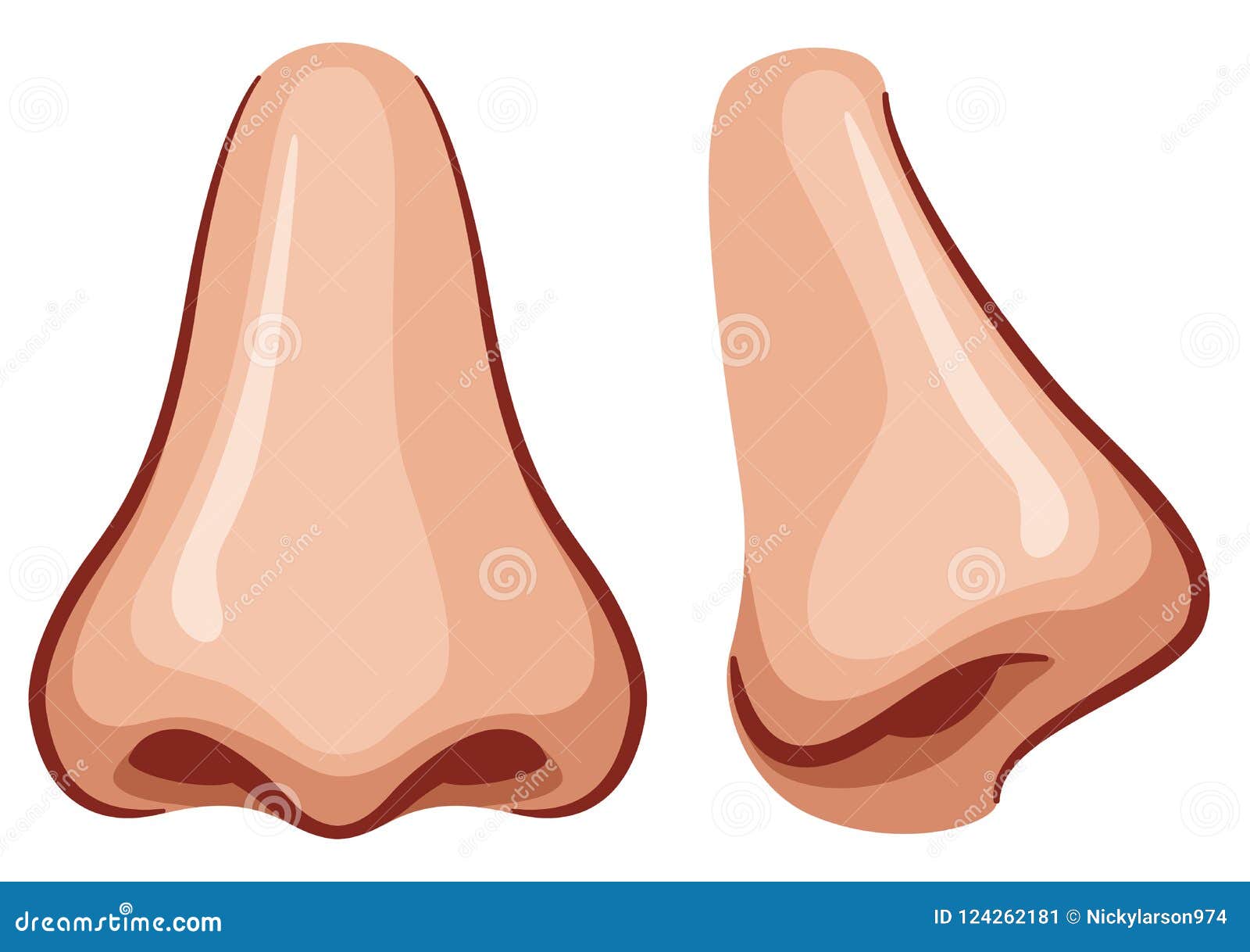 Vector Nose On White Background | CartoonDealer.com #124262181