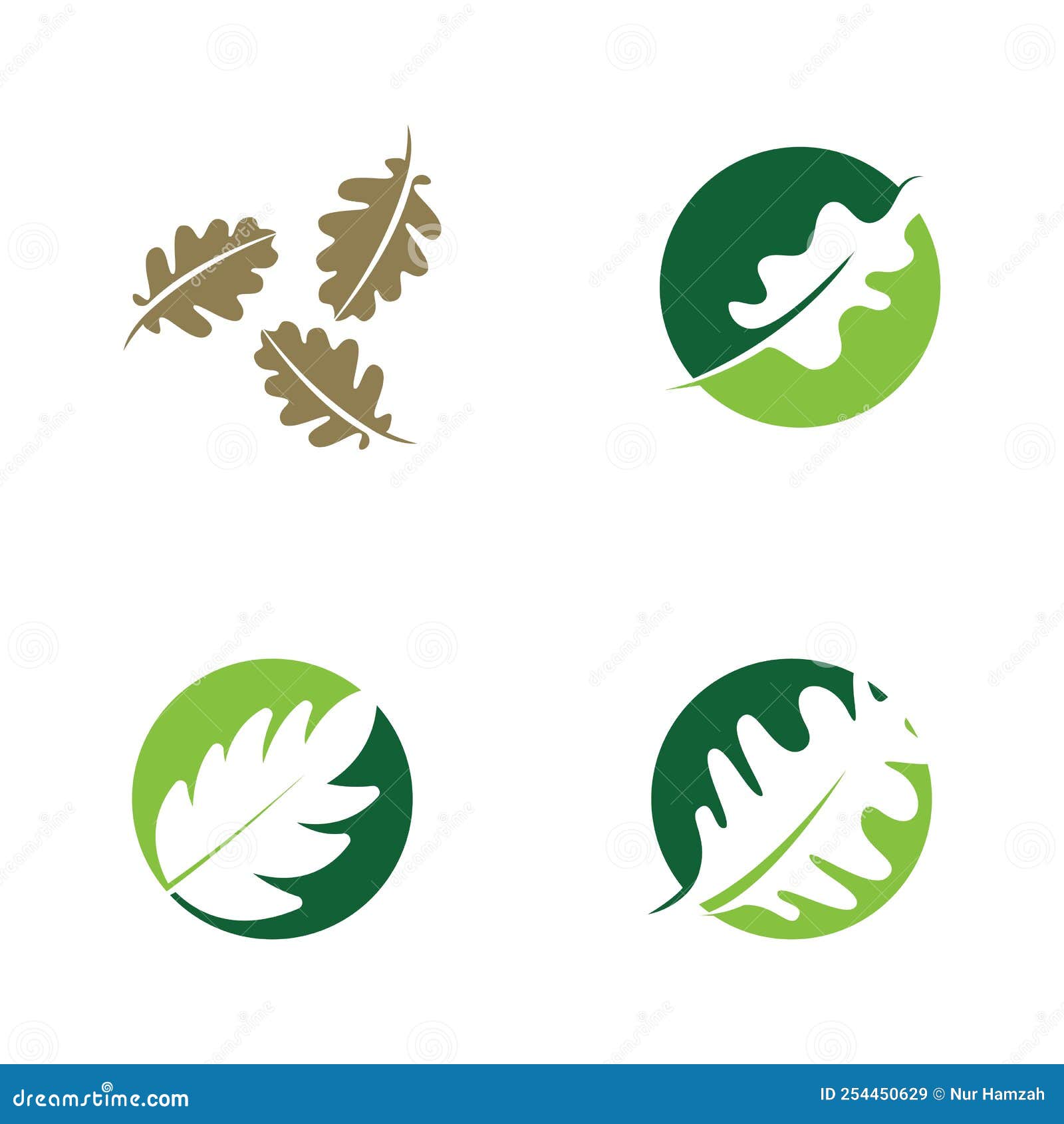 Vector Oak Leaf Logo Template Stock Vector - Illustration of graphic, leaf: 254450629