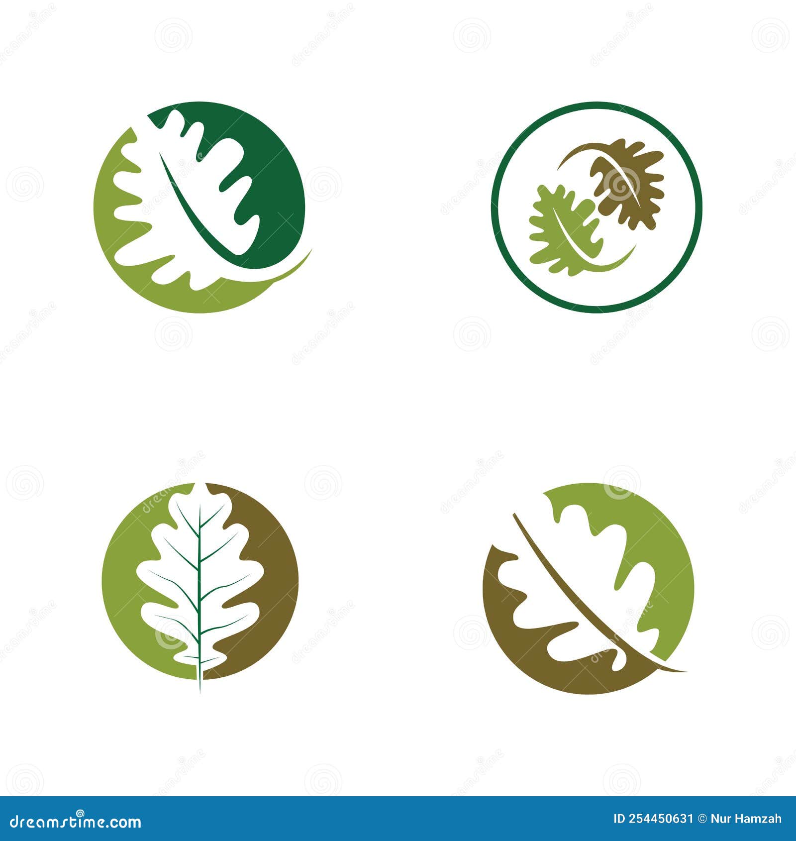 Vector Oak Leaf Logo Template Stock Vector - Illustration of natural ...