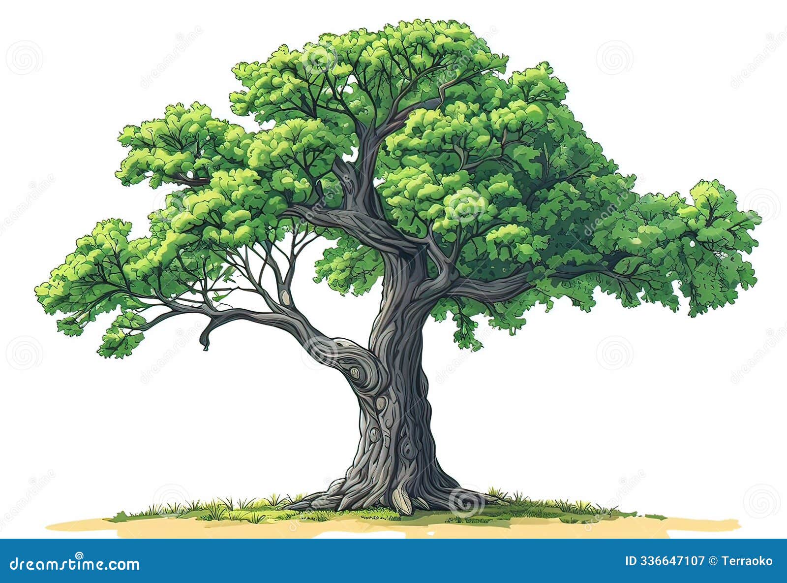 Vector Oak Tree. Vector Illustration of Old Green Oak Tree, Creative ...