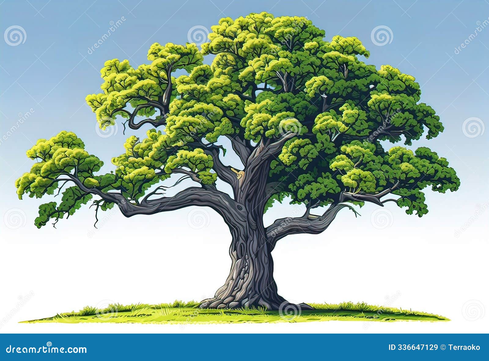 Vector Oak Tree. Vector Illustration of Old Green Oak Tree, Creative ...