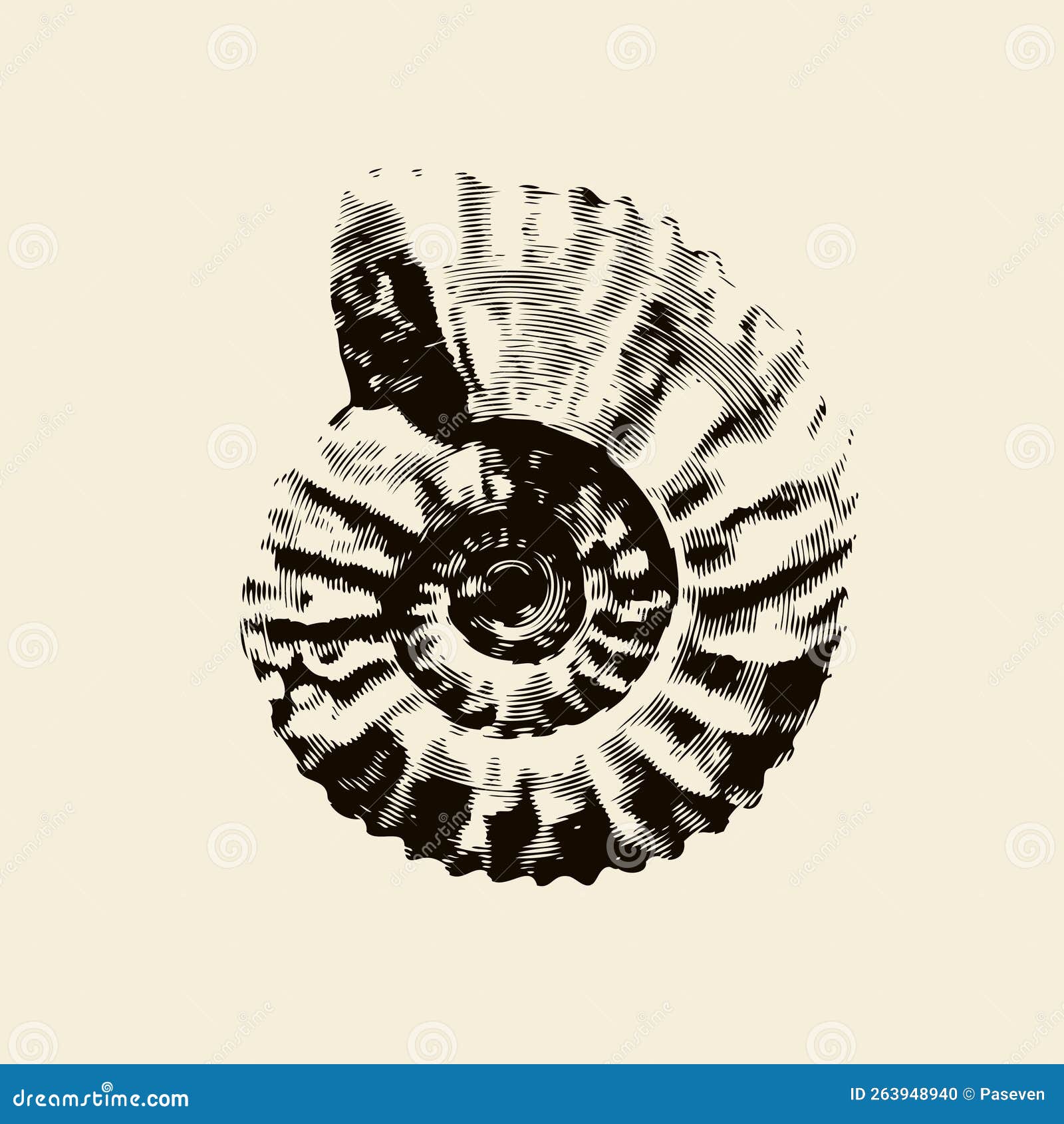 Vector Objects of Ancient Petrified Ammonite Shells Stock Vector ...