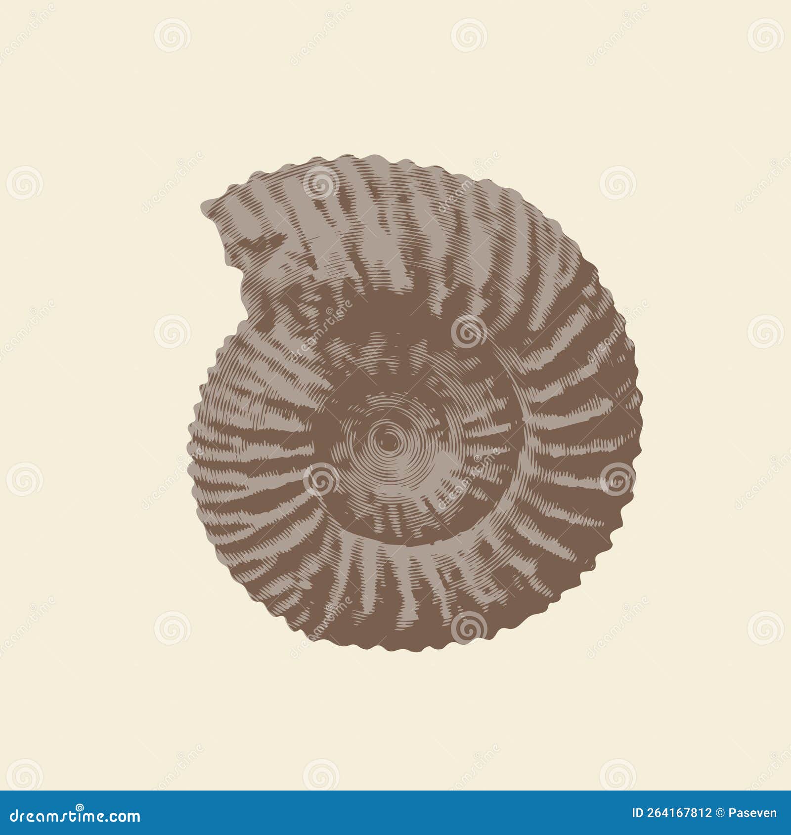 Vector Objects of Ancient Petrified Ammonite Shells Stock Vector ...