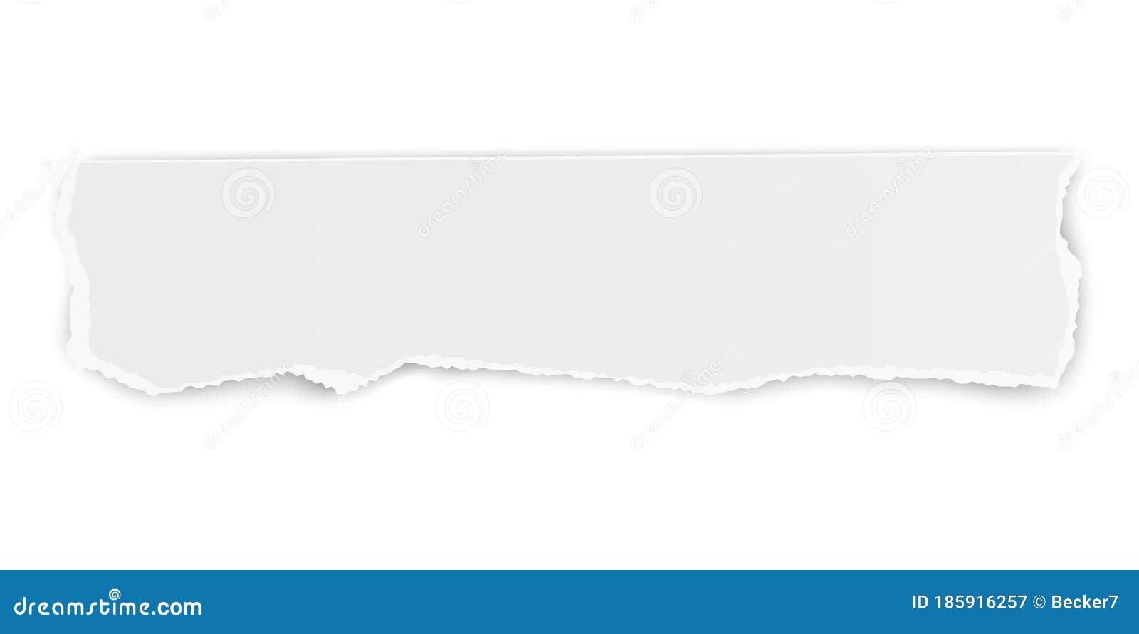 Vector Oblong Torn Paper Tear Isolated on White Background Stock Vector ...