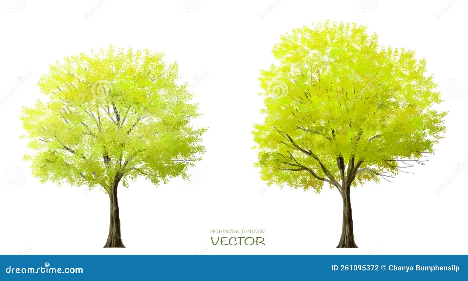 Vector Green Tree or Forest Side View Isolated on White Background for ...