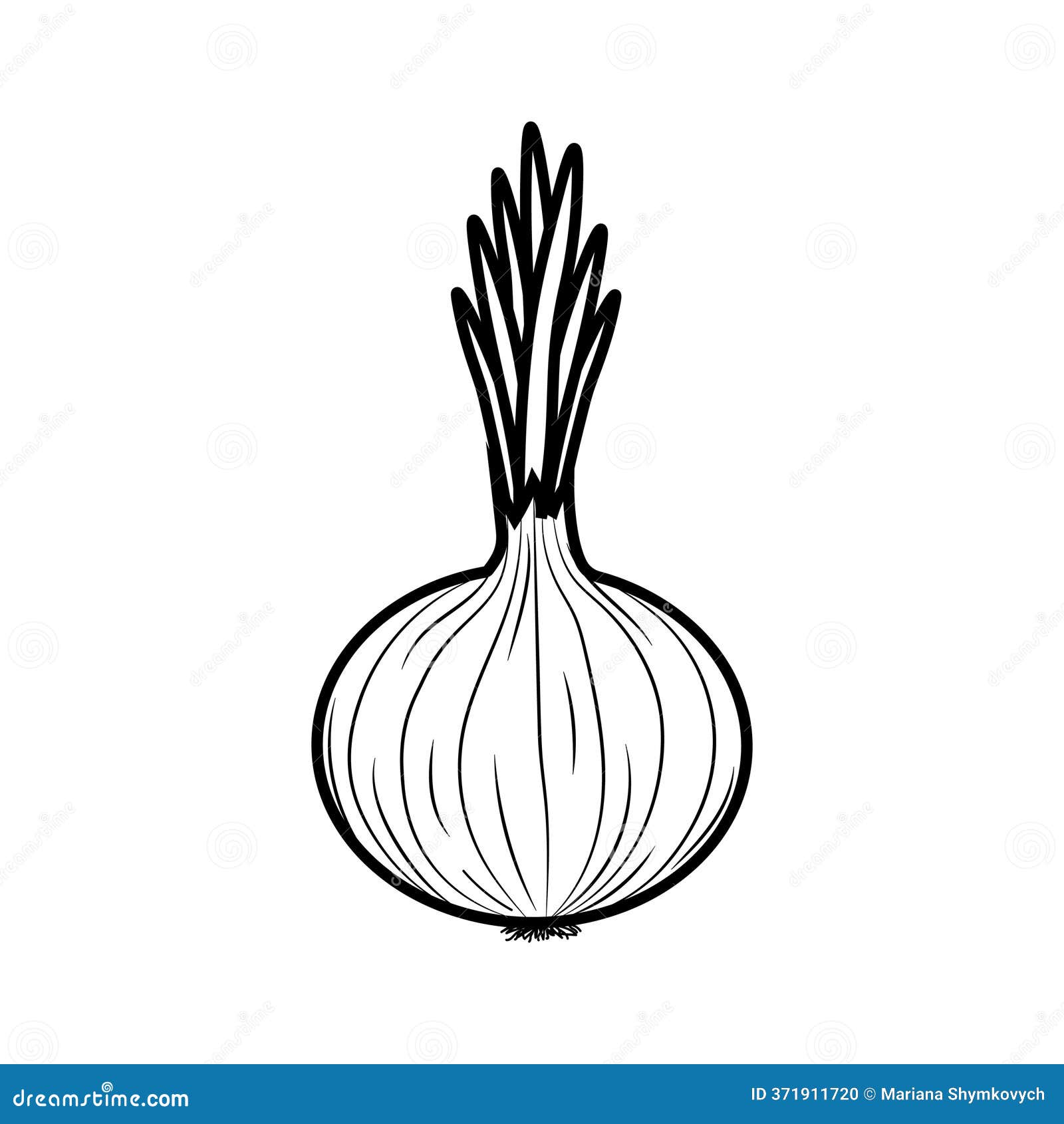 Red Onion Icon. Full And Sliced Onion Isolated On White Background With ...