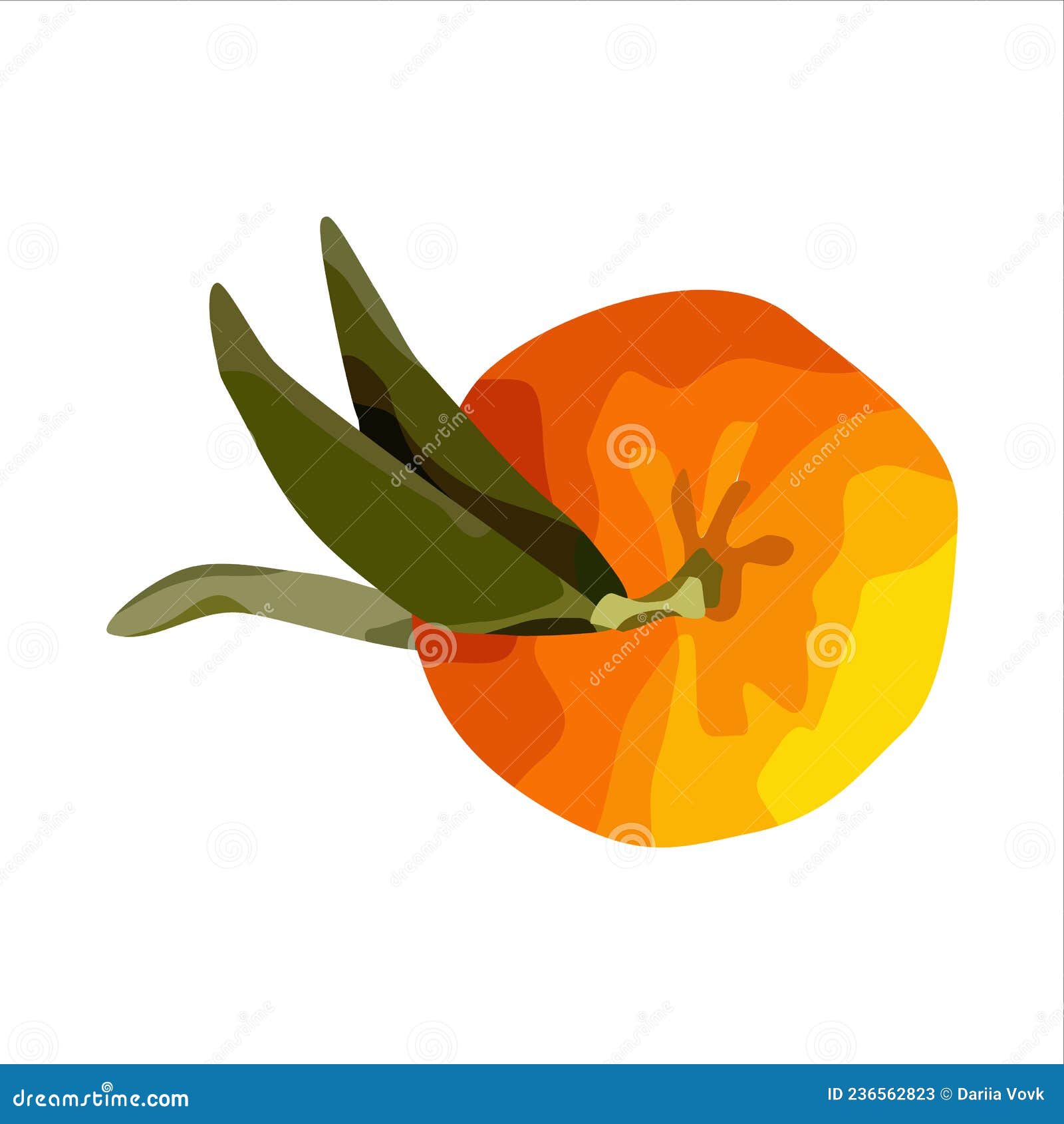 Vector realistic orange stock vector. Illustration of drink - 236562823