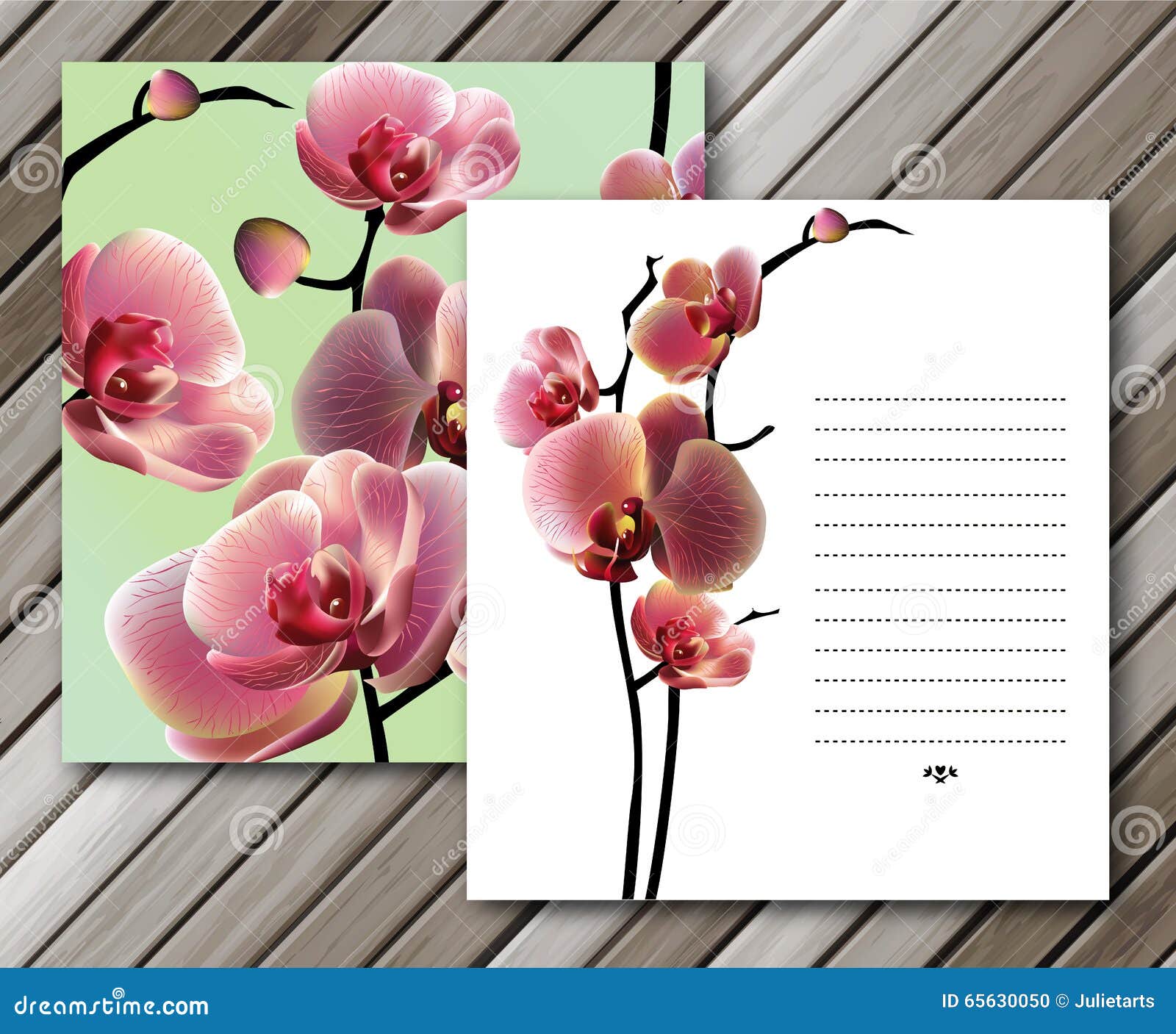 Vector Orchid Cards for Your Design. Background, EPS10 Stock Vector ...
