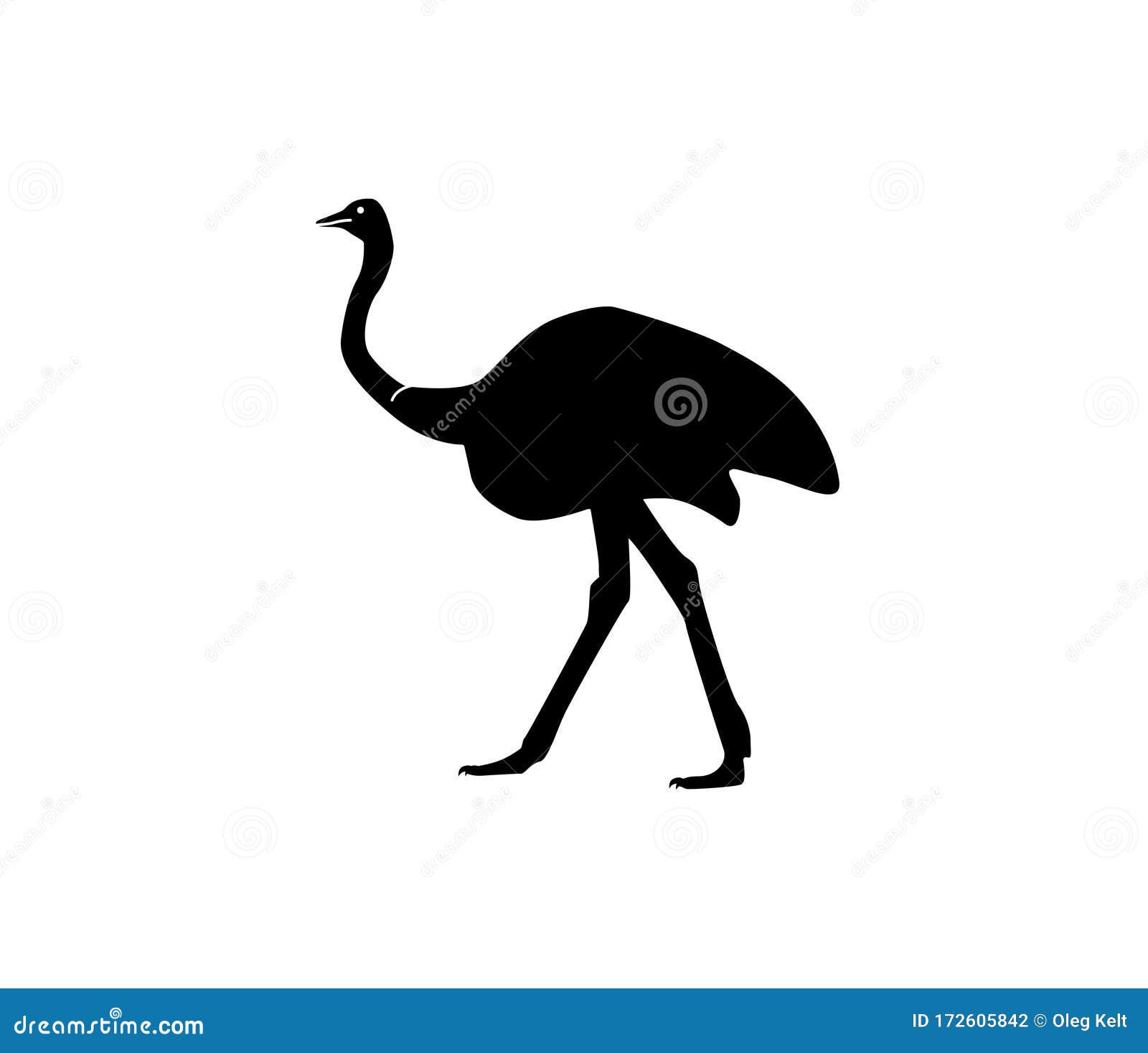 Vector Ostrich Silhouette. Isolated White Background. For Coloring Or ...