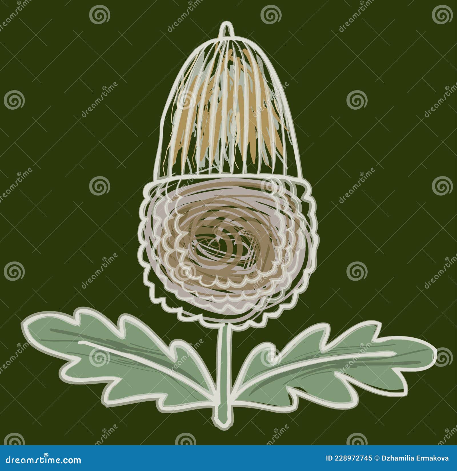Vector Outline Drawing of Abstract Decorative Acorn Stock Vector ...