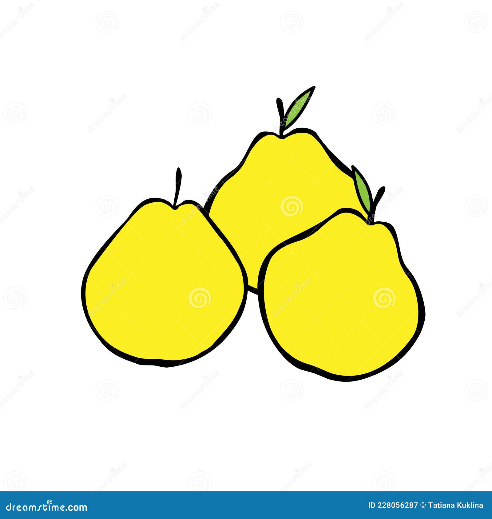 Vector Outline Illustration Of Group Of Three Yellow Pears With Leaves ...