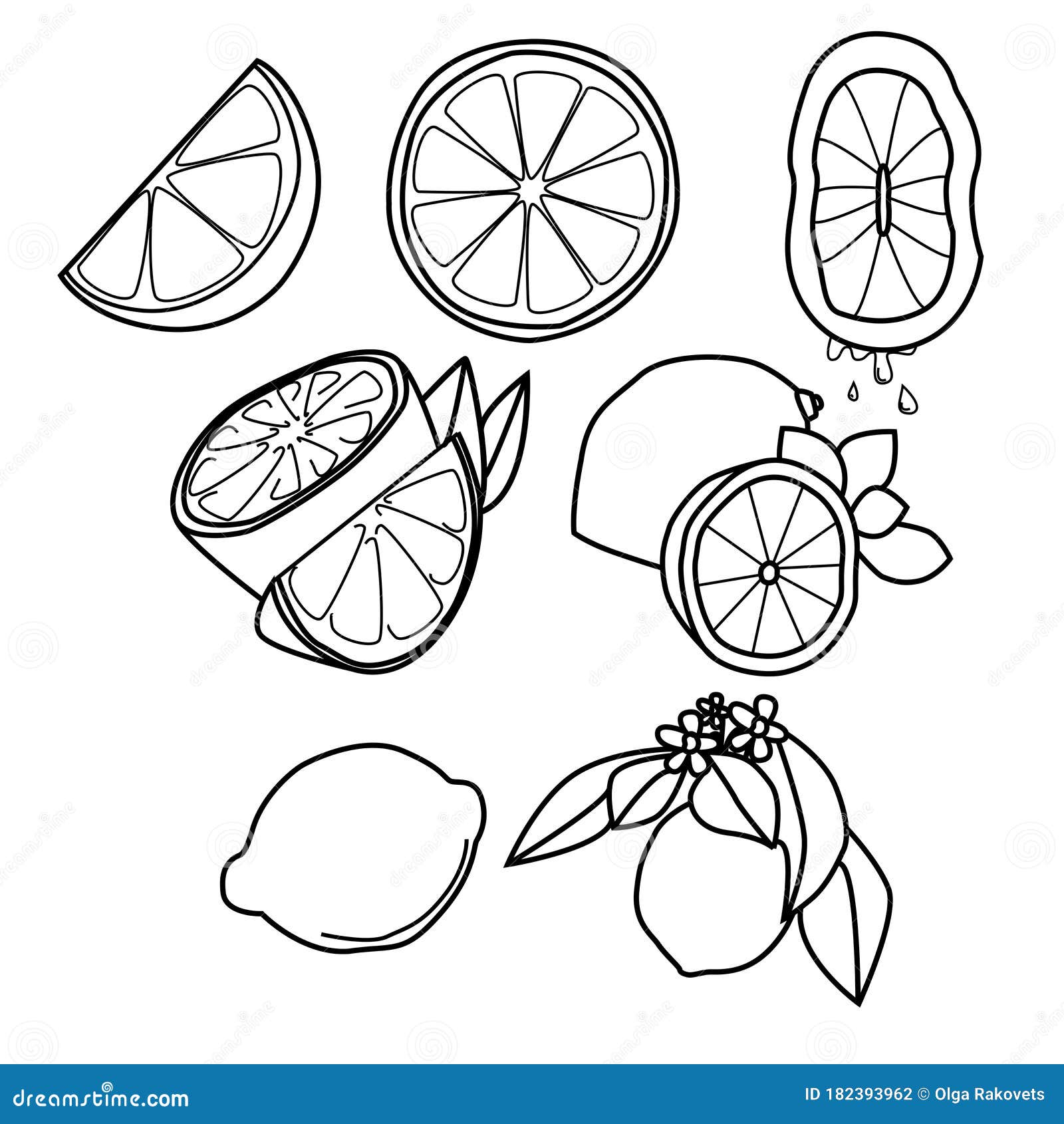 Vector Outline Lemon Set, Fruit Icon for Design Stock Vector ...