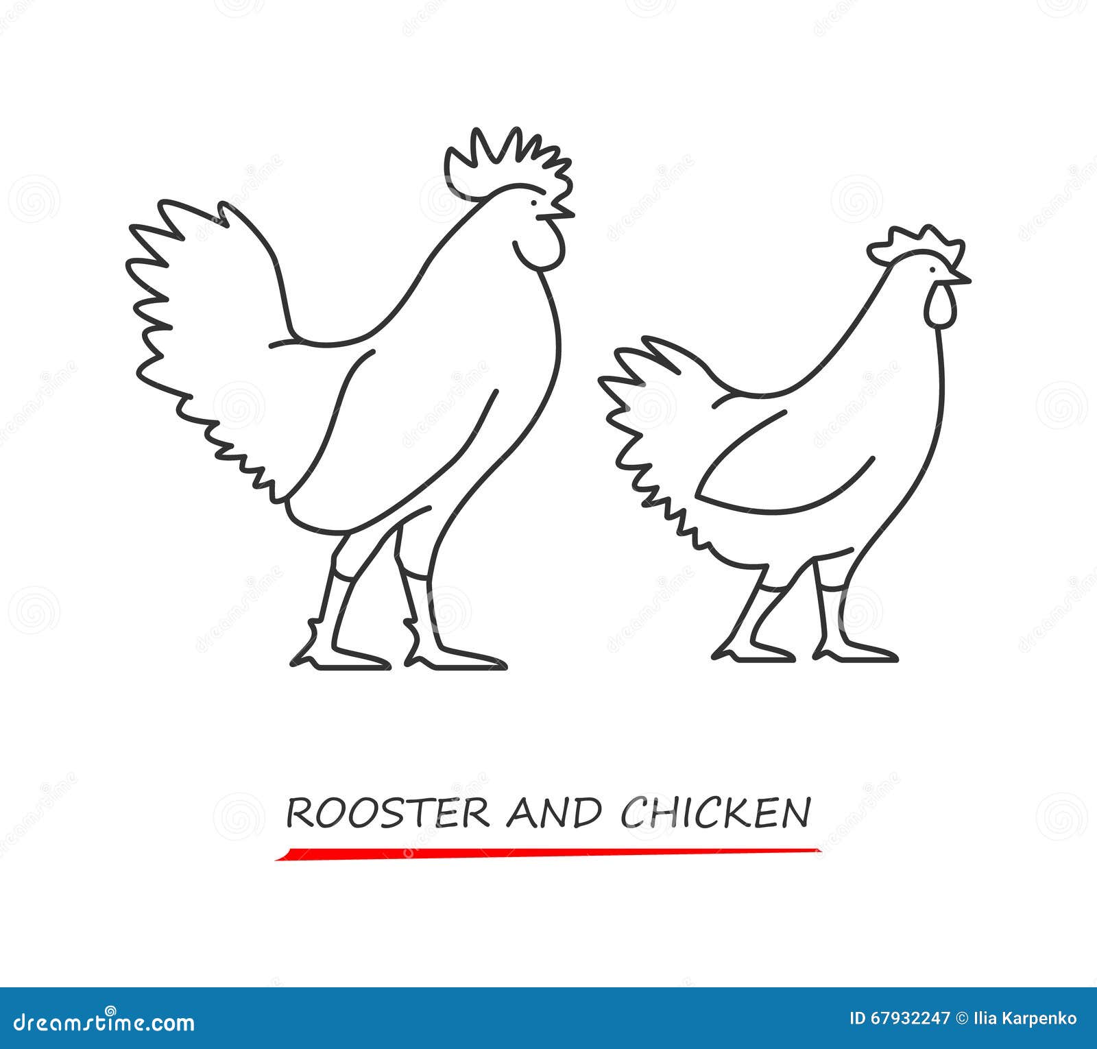 Vector Outline Silhouette Rooster And Chicken. Stock Image ...