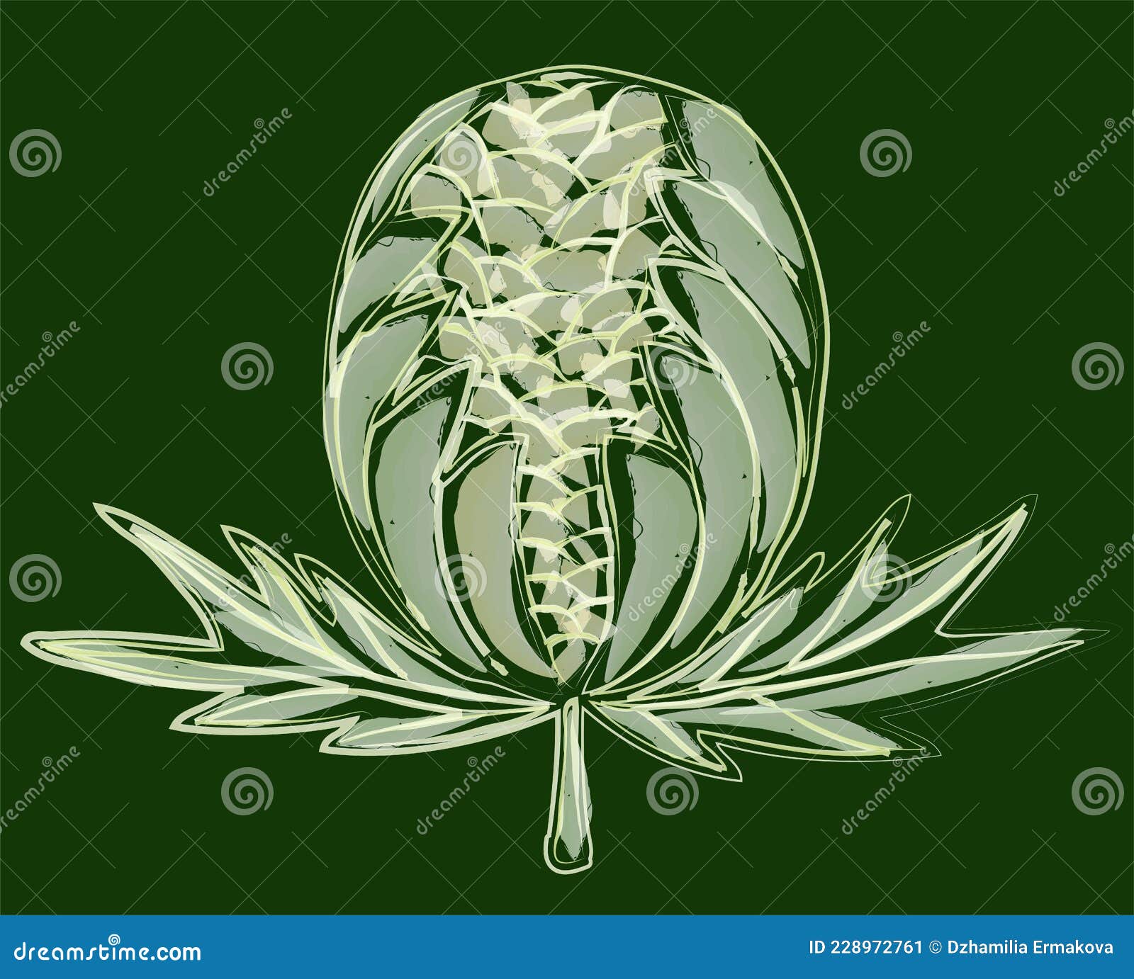 Vector Outline Watercolor Brush Drawing of Abstract Decorative Ananas ...