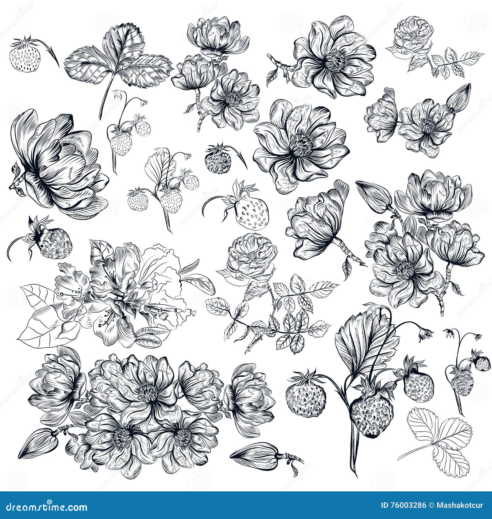 Vector Pack of Engraved High Detailed Flowers for Design Stock Vector ...