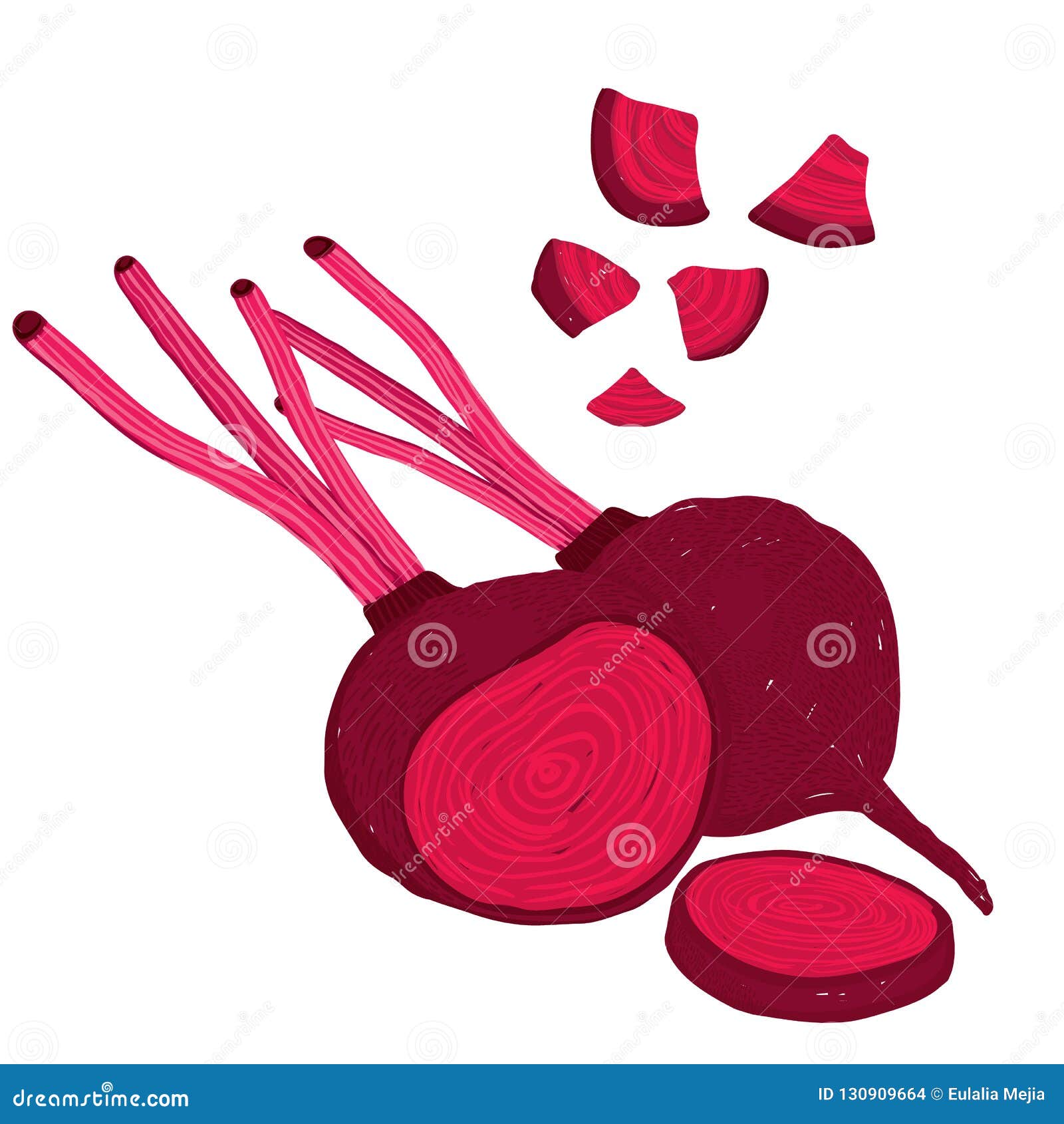 Vector Painterly Set of Beets, Beetroot, Raw and Cut. Stock Vector ...