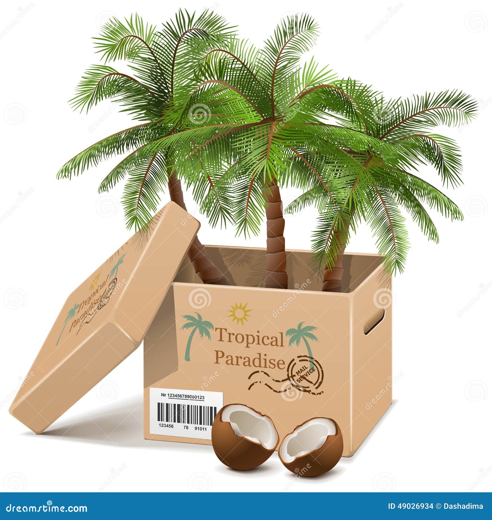 Palm Tree Gift Box Stock Illustrations – 178 Palm Tree Gift Box Stock ...