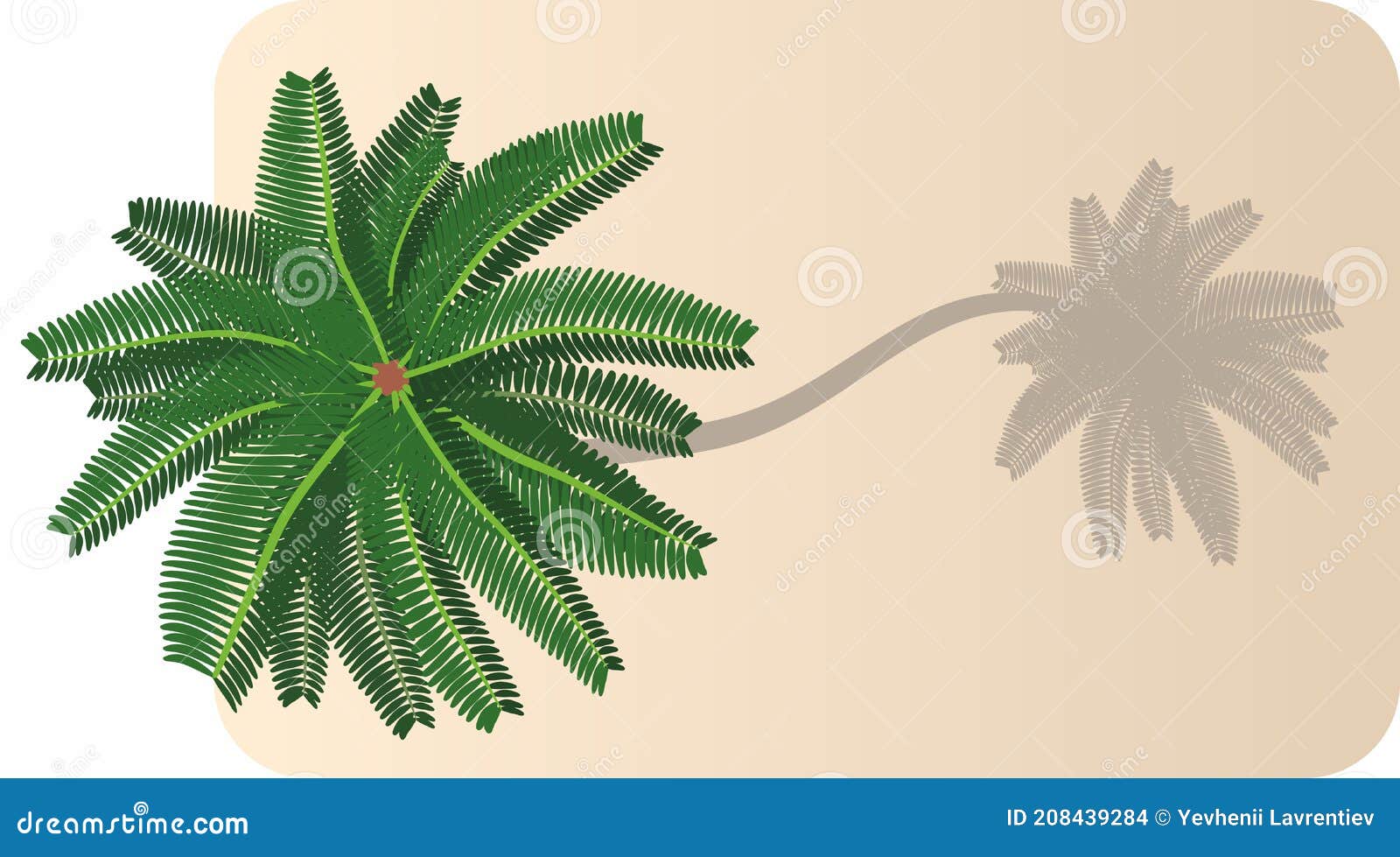 The Vector Palm Tree Grows on the Beach in the Sand and Casts a Shadow ...