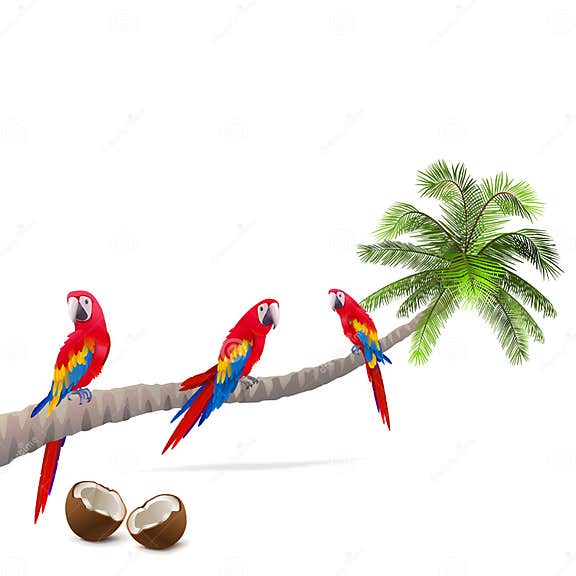 Vector Palm Tree with Parrots Stock Vector - Illustration of bird ...