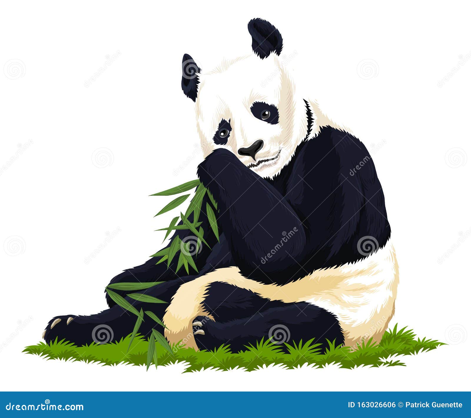 Vector of panda stock vector. Illustration of grass - 163026606