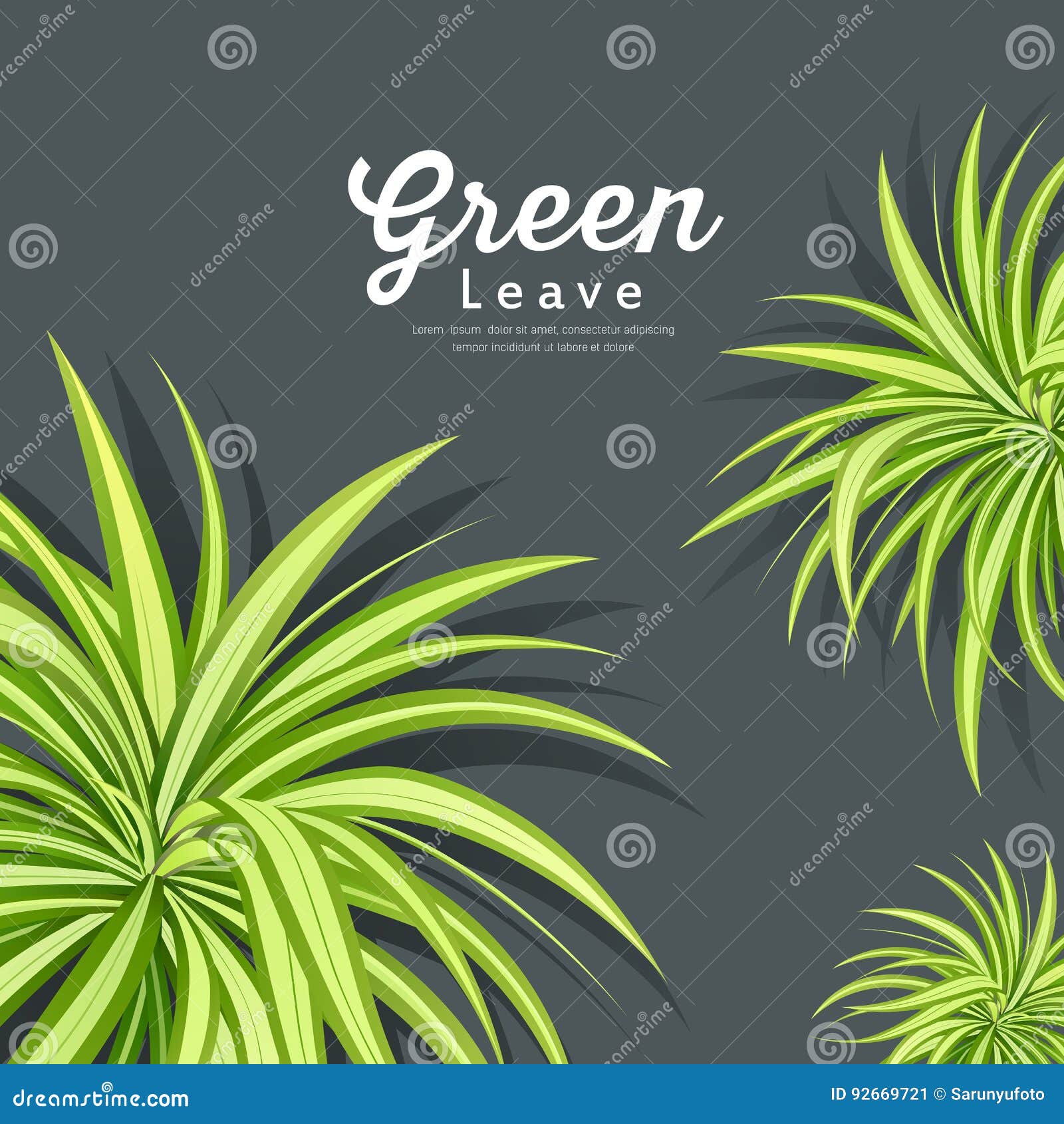 Vector Pandanus Tree Green Leaves Stock Vector - Illustration of ...