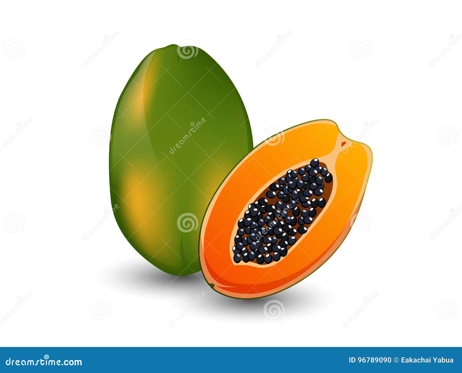 Vector Papaya Fruits Isolated on White Background Stock Vector ...