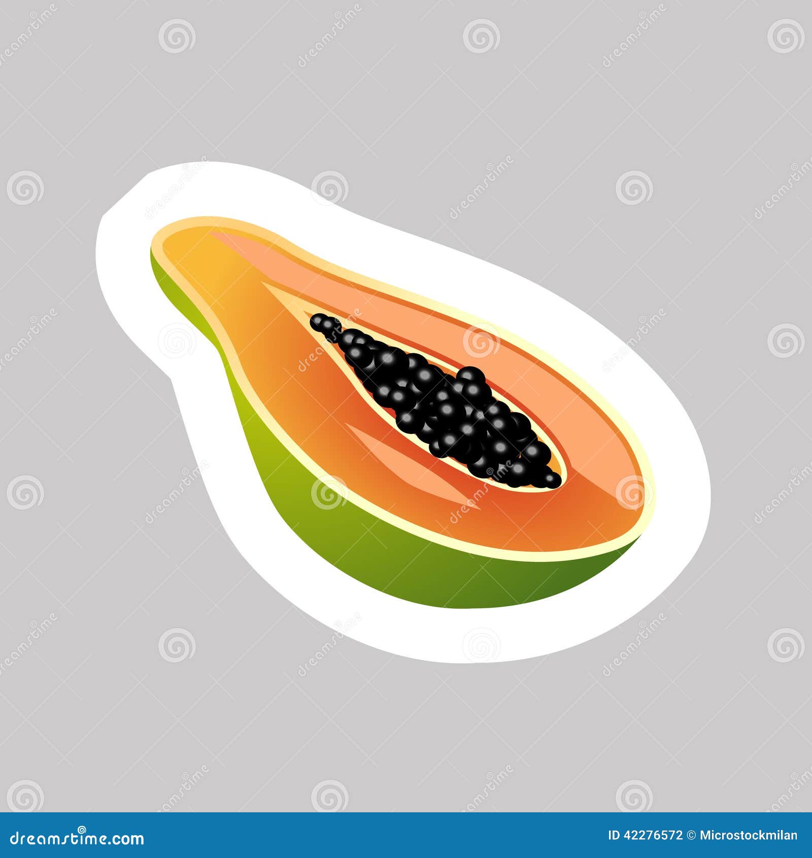Vector Papaya stock illustration. Illustration of shiny - 42276572