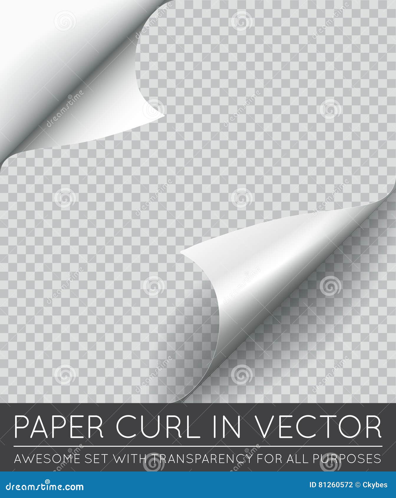 Page Curl Corner On Blank Sheet Of Paper. The Rolled Angle Of The ...